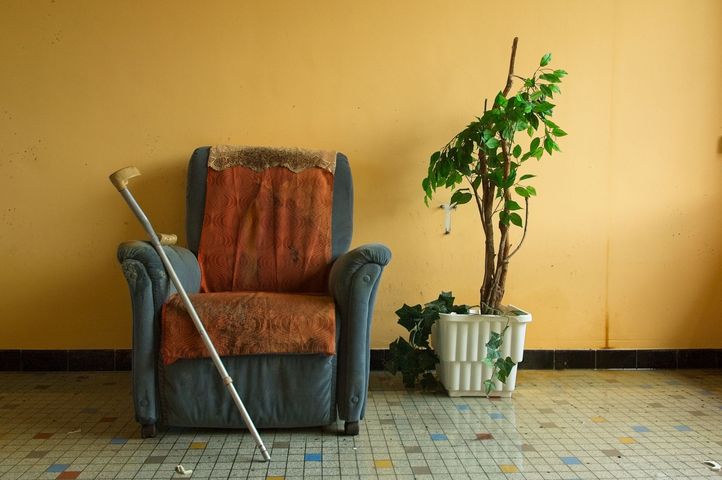 Walking Stick, Vintage Armchair and Plant near Yellow Wall · Free Stock ...