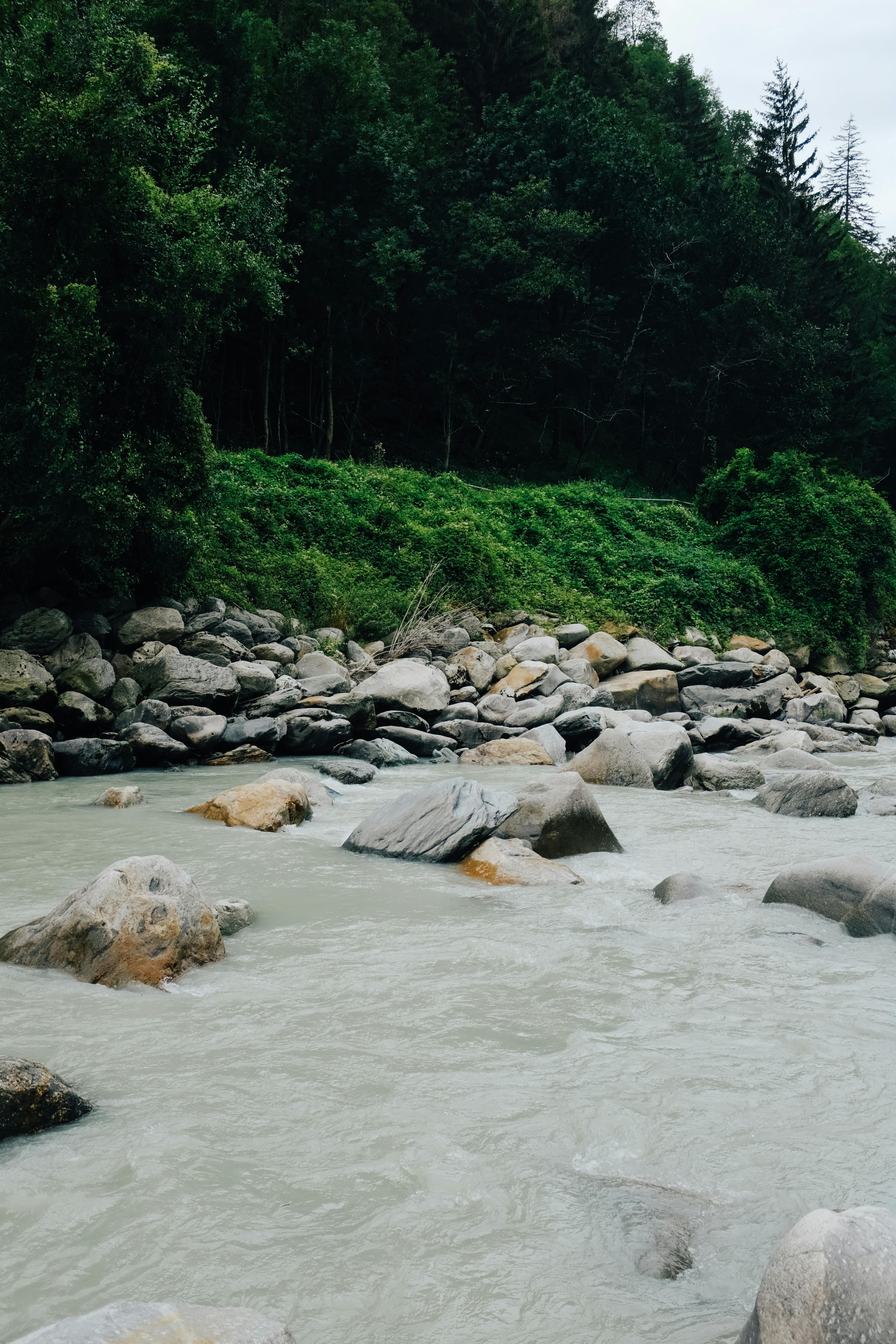 Rocks on Stream · Free Stock Photo