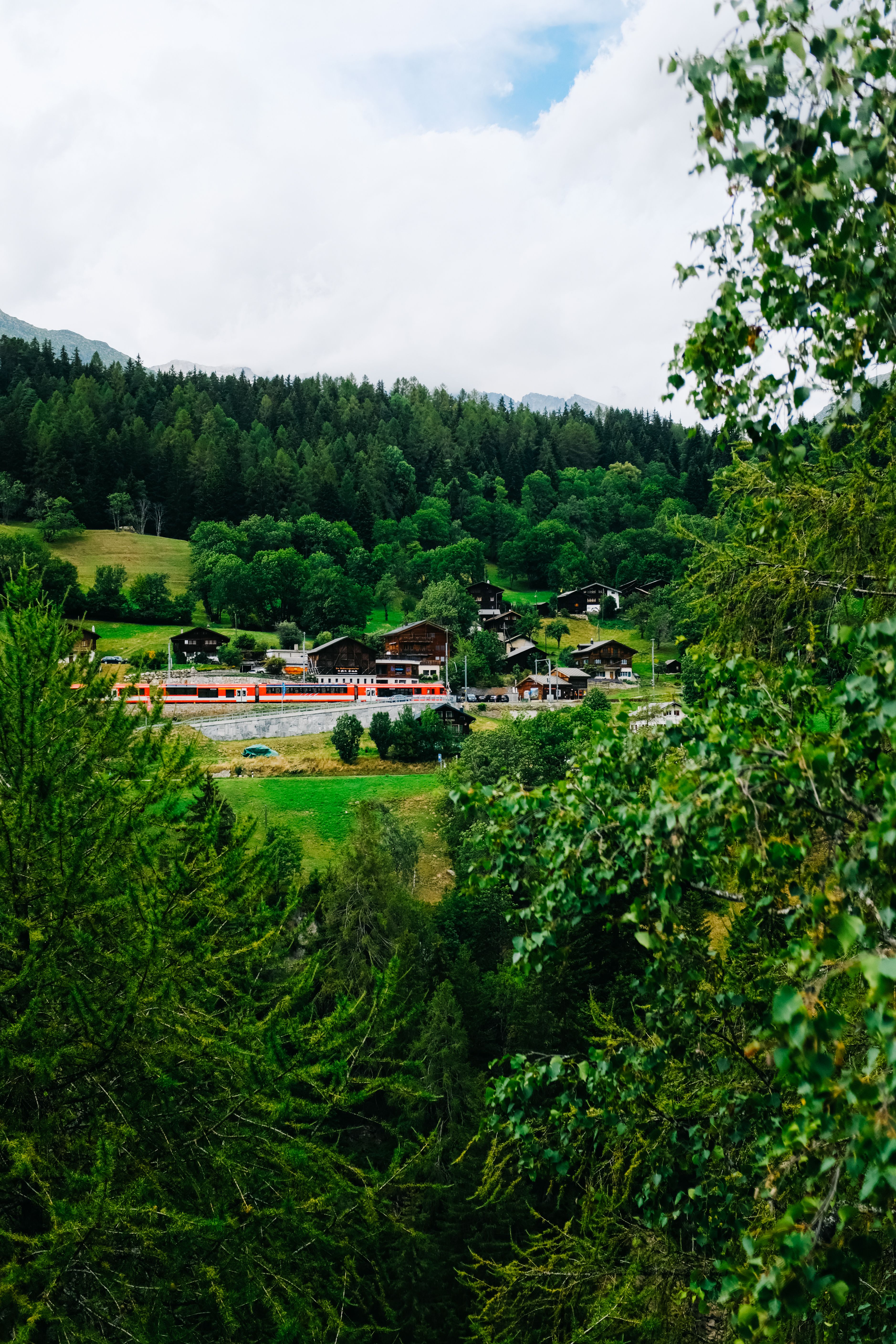 Green Forest and Village · Free Stock Photo