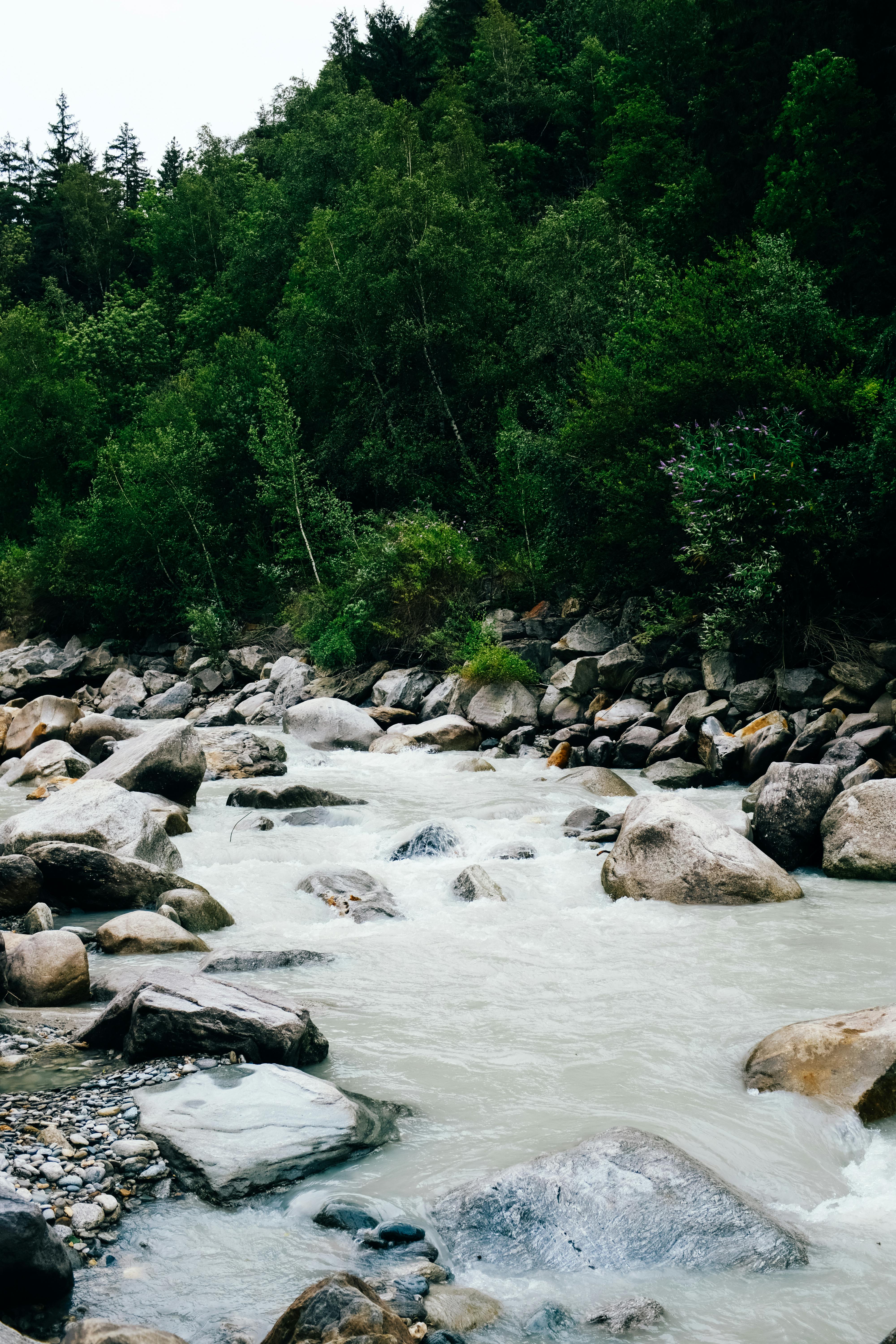 Wild River Running through Rocks · Free Stock Photo