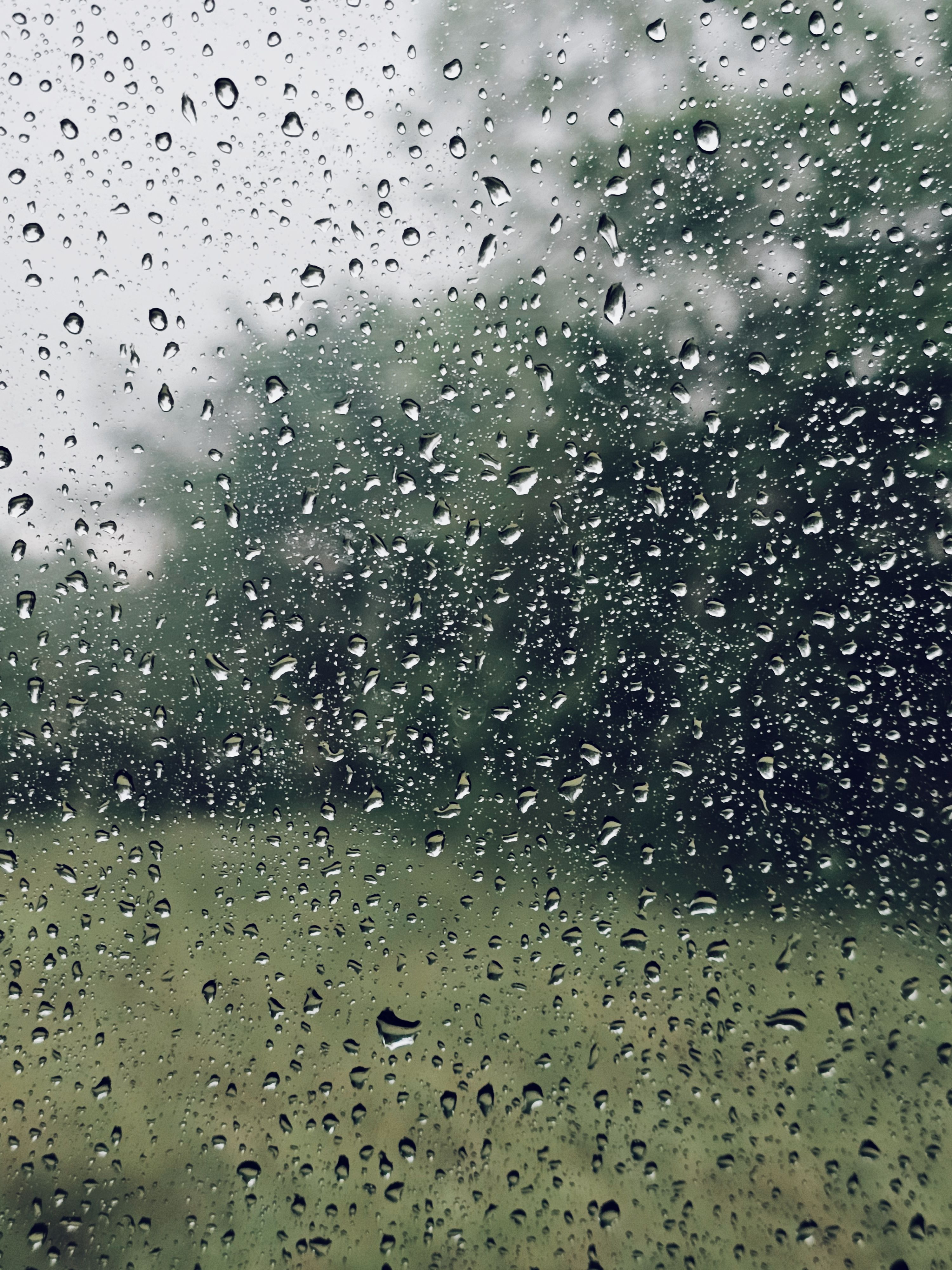 Window Rain Photos, Download The BEST Free Window Rain Stock Photos ...