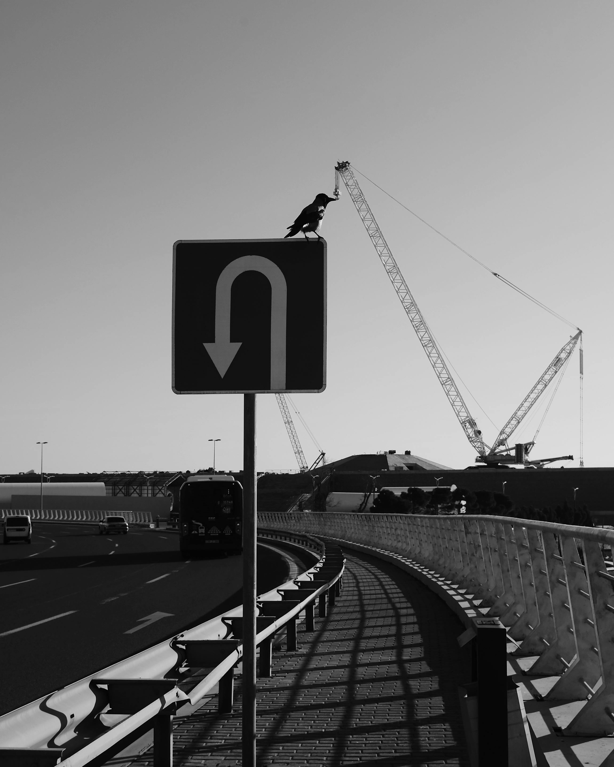 Sign Laguage Photos, Download The BEST Free Sign Laguage Stock Photos ...