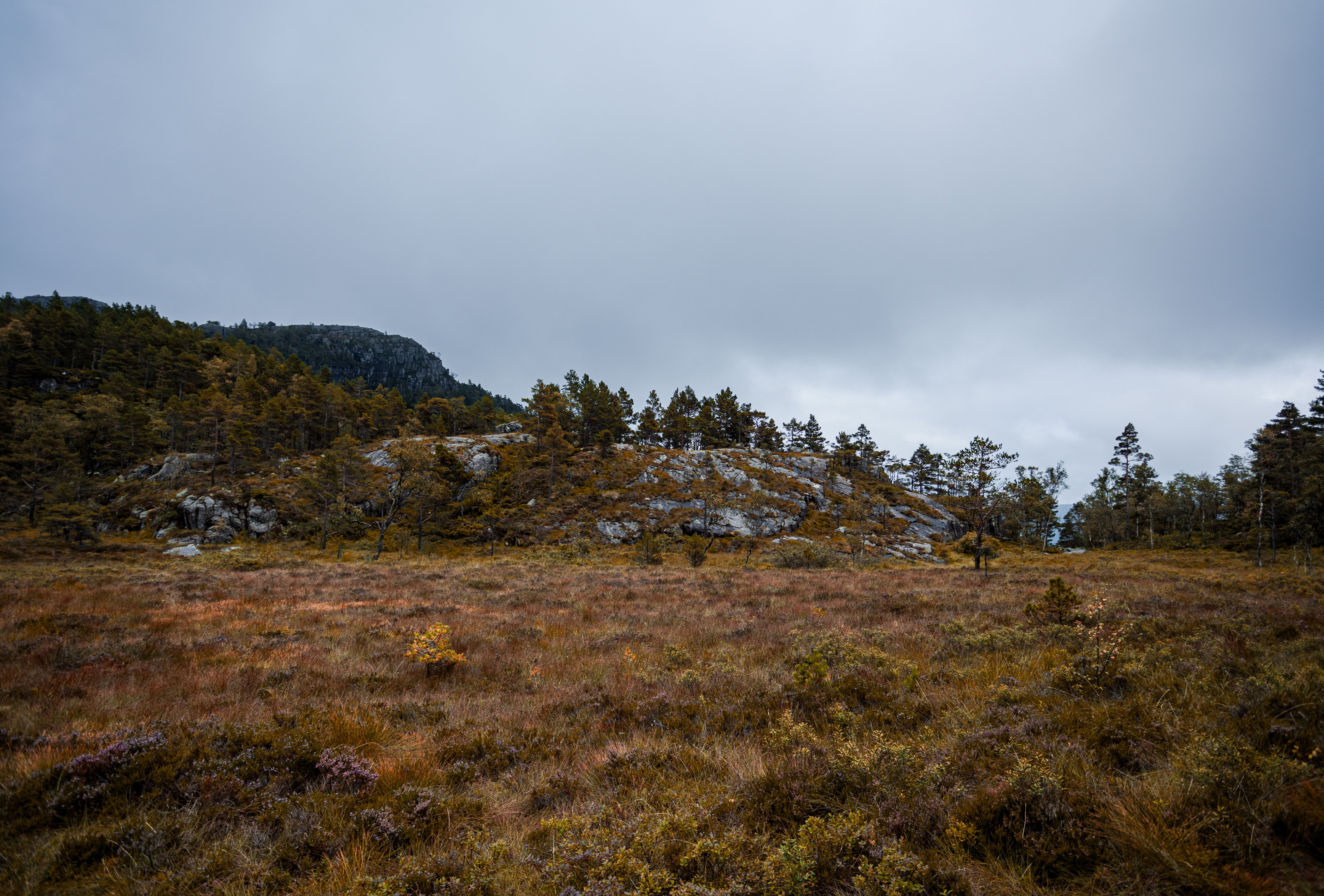 grass field in the mountains on hike in fjord in Norway · Free Stock Photo
