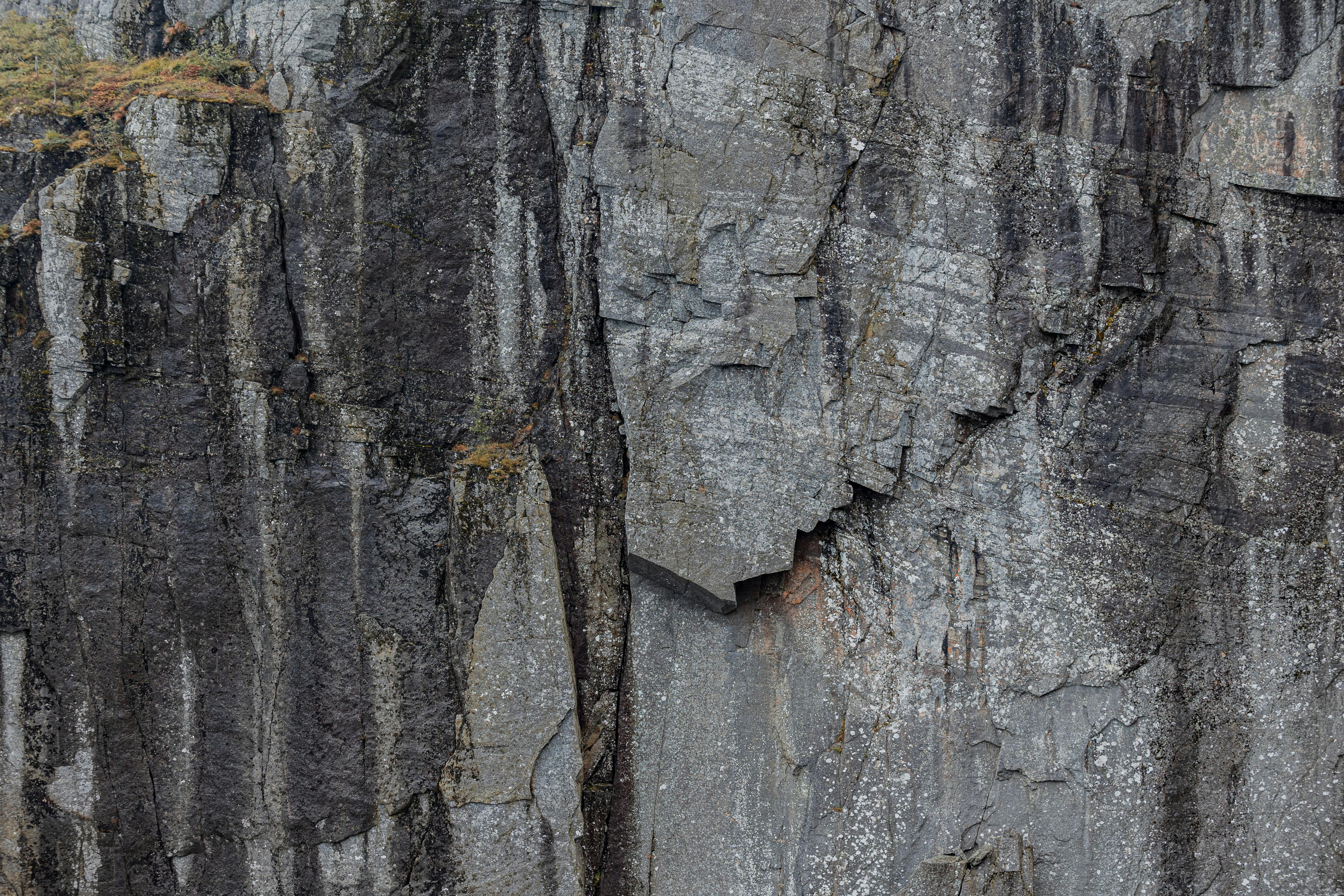 Closeup of a Rock Texture · Free Stock Photo