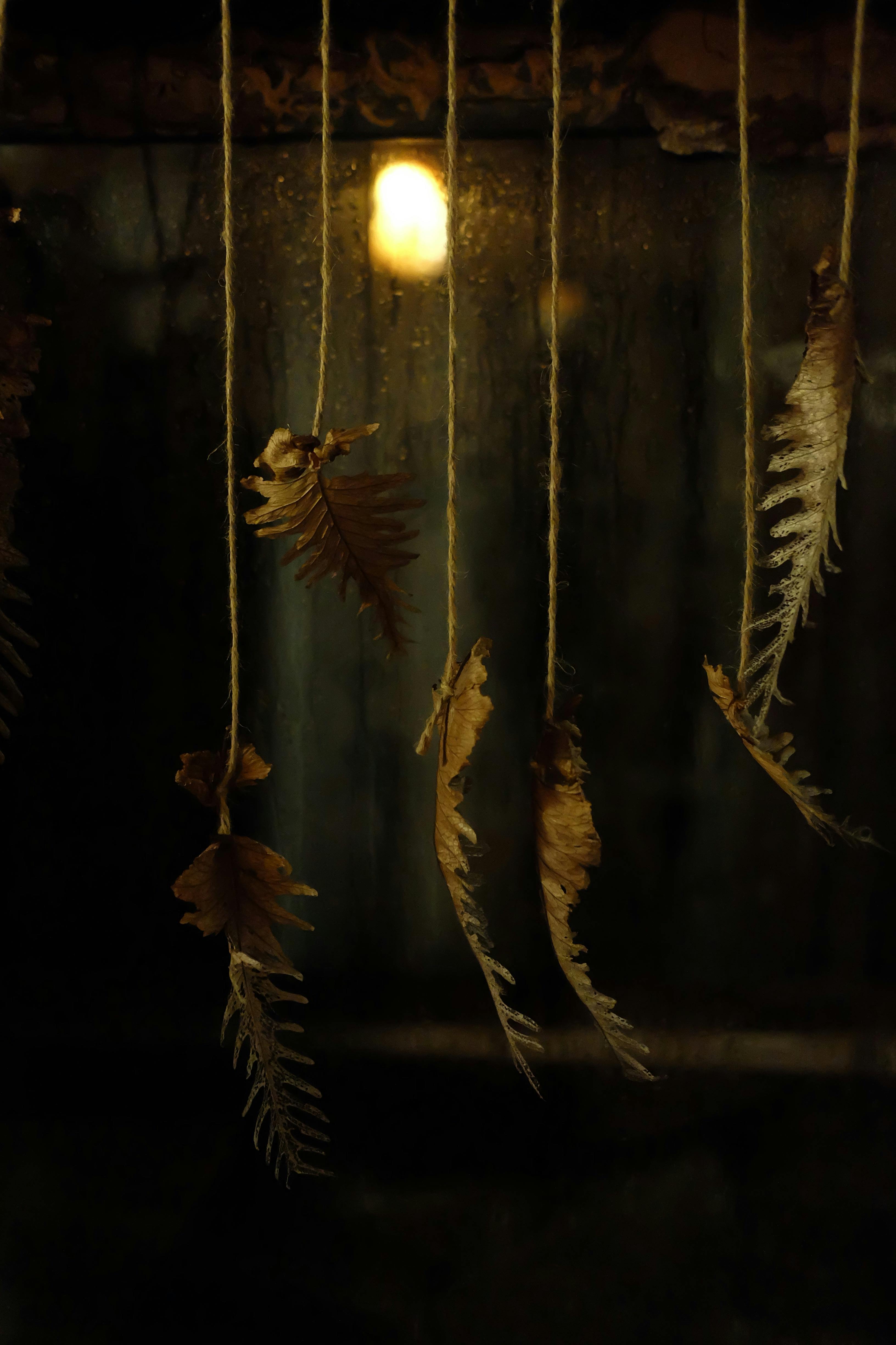 Dark Photo of an Installation of Dry Leaves Hanging on Strings · Free ...