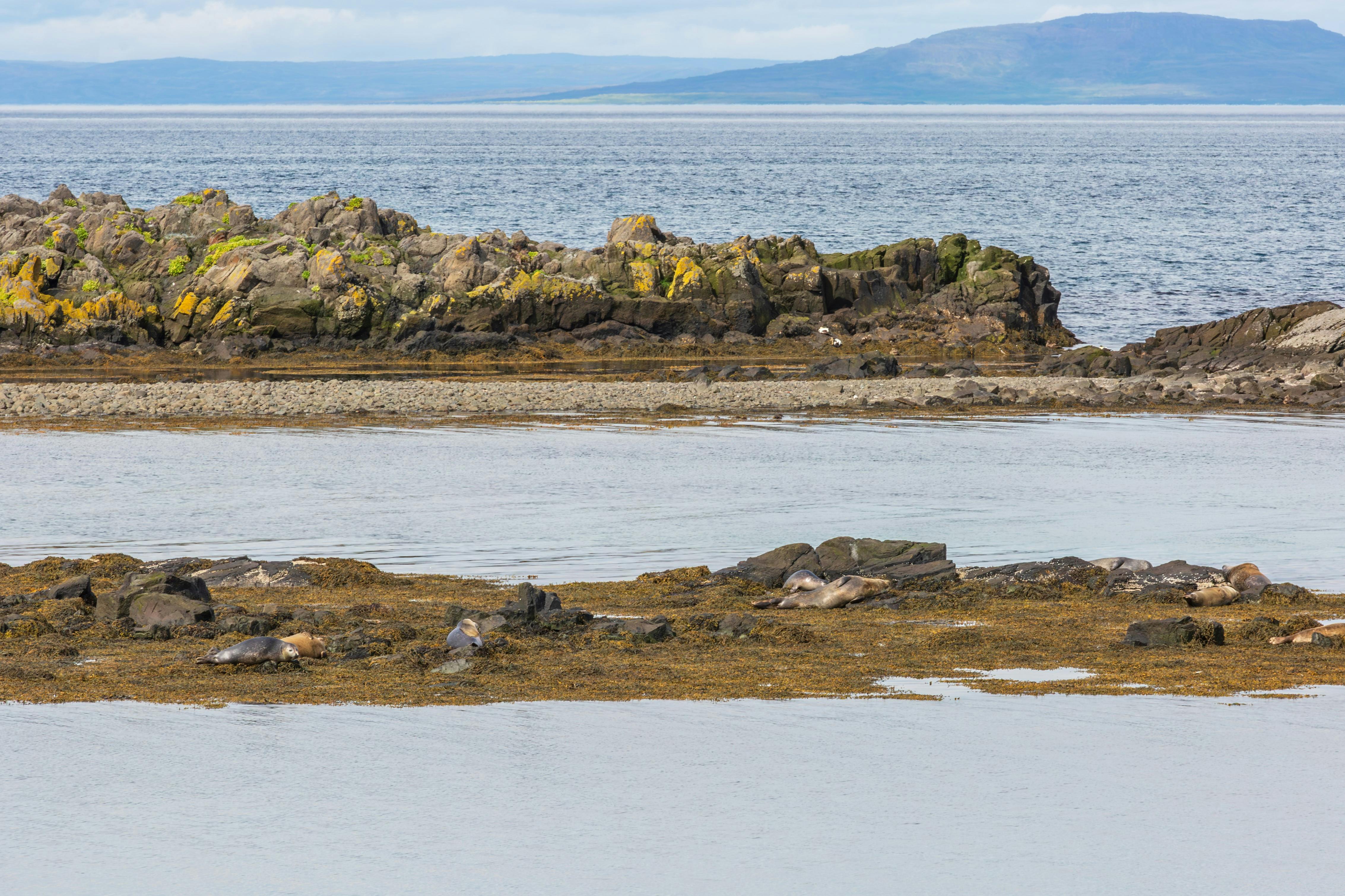 Domain Photos, Download The BEST Free Domain Stock Photos & HD Images