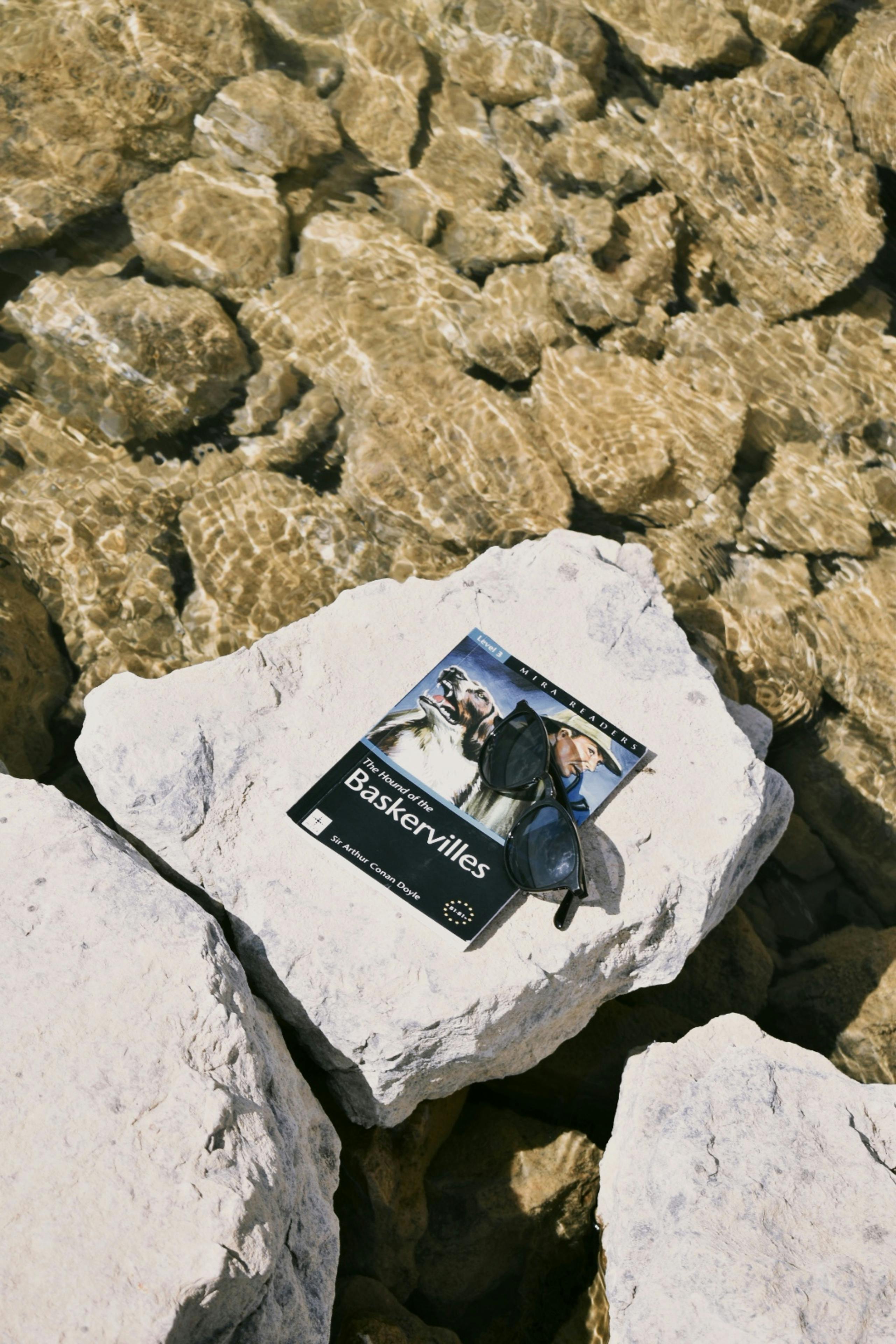 Photo of a Magazine on a Stone by a River · Free Stock Photo