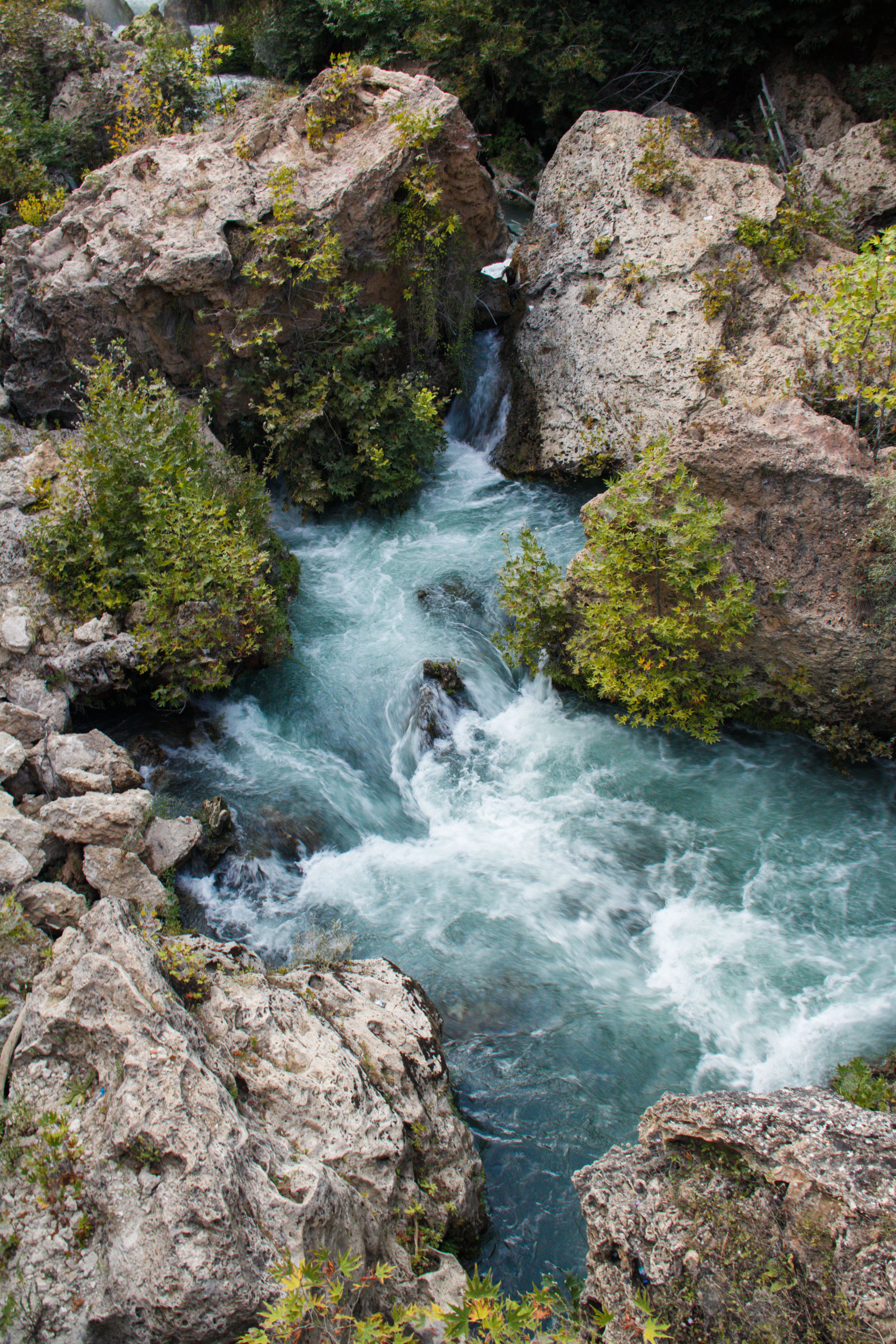 Photo gratuite de arbre, caillou, cascade, crique, eau, environnement ...