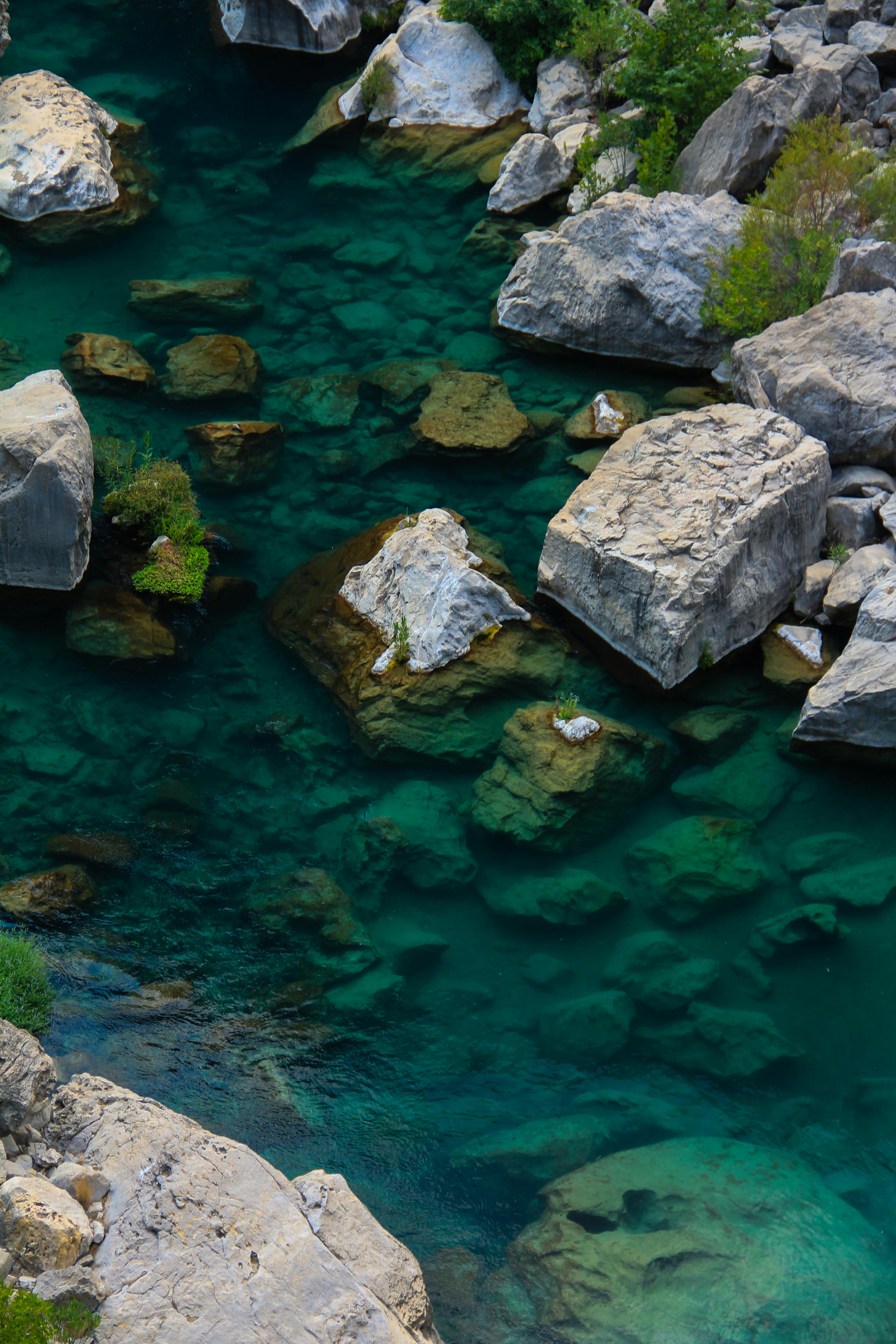 Rocks on Stream · Free Stock Photo