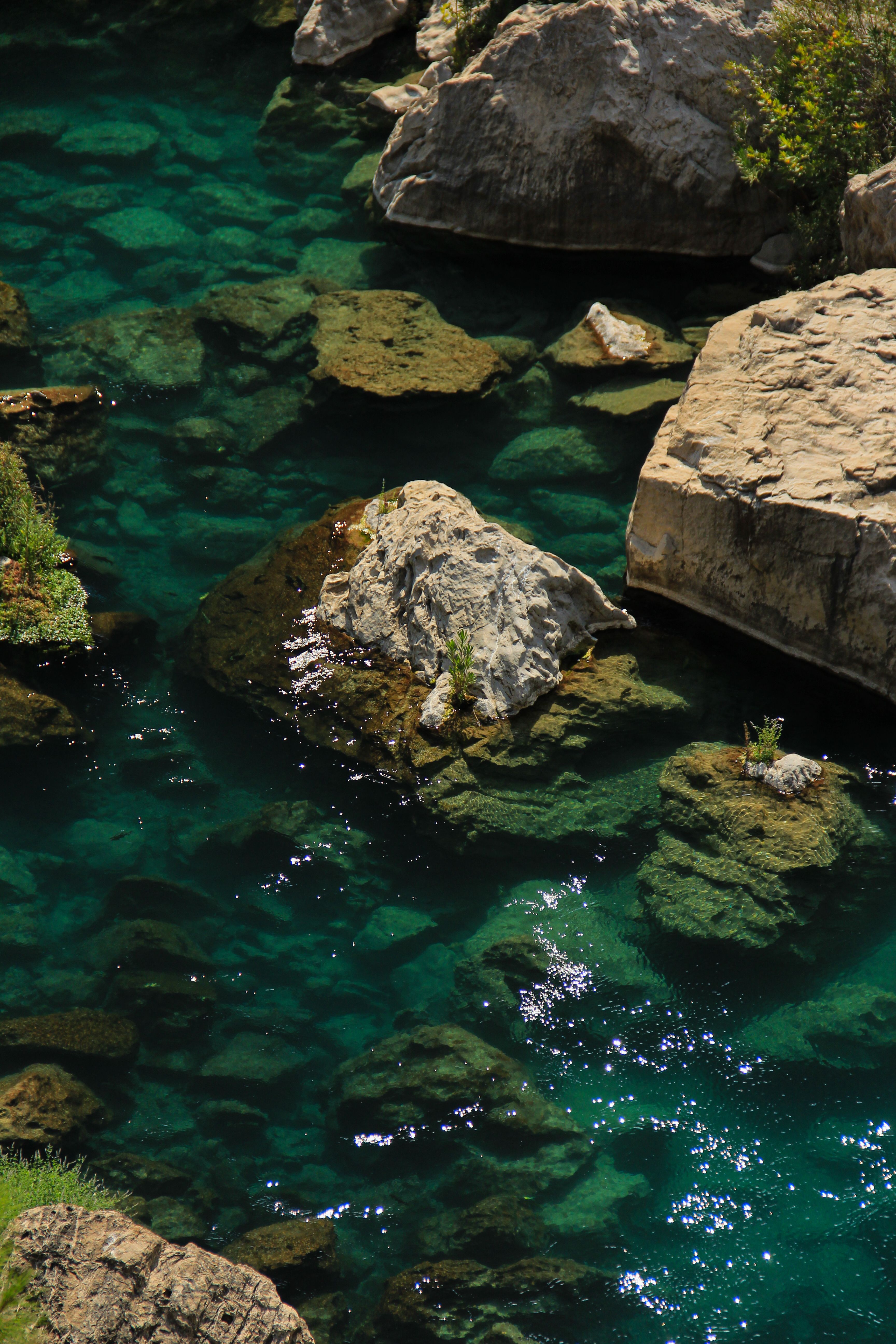 Water Nature Photos, Download The BEST Free Water Nature Stock Photos ...