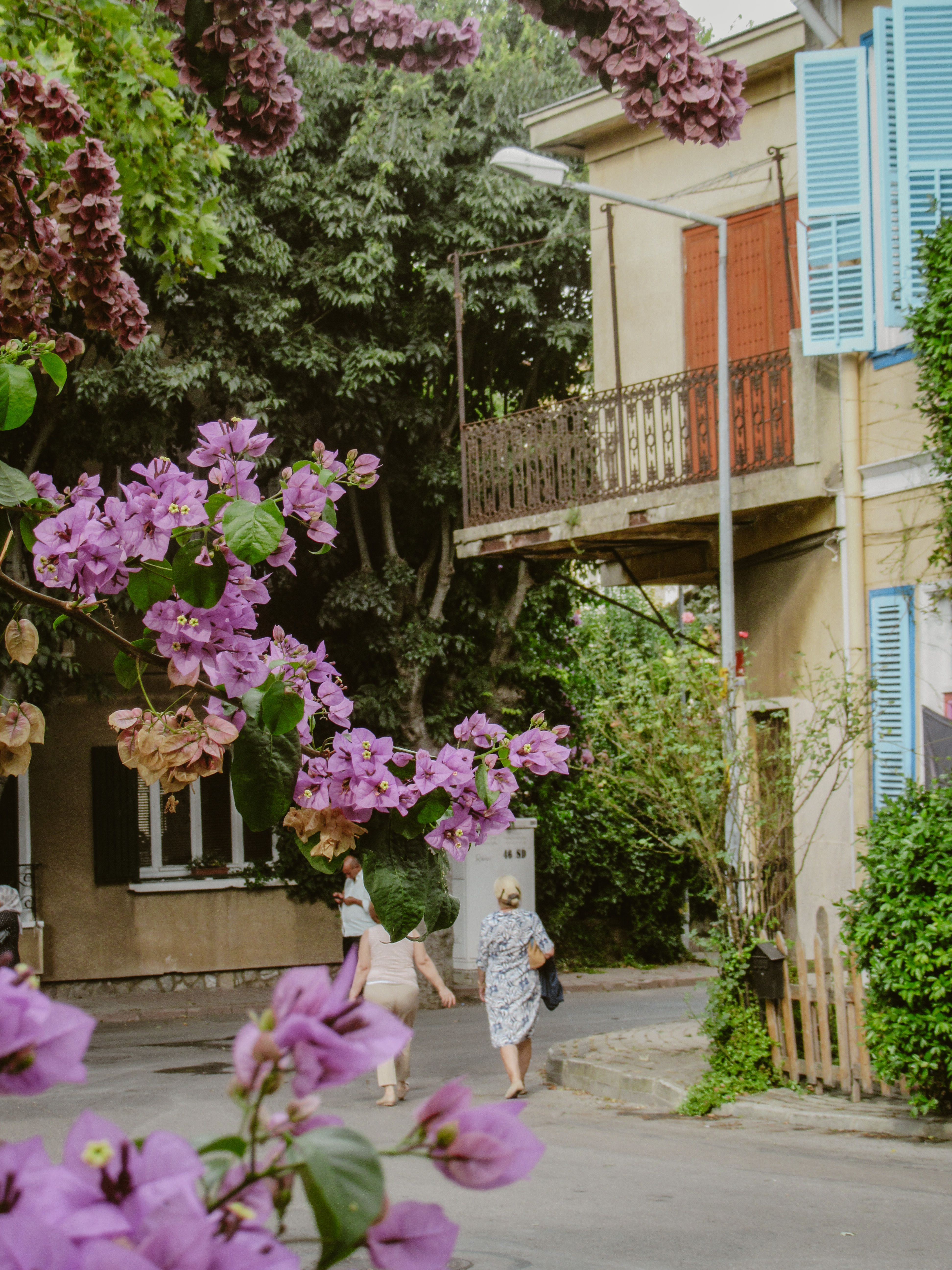 Women Walking Down Street in Summer · Free Stock Photo