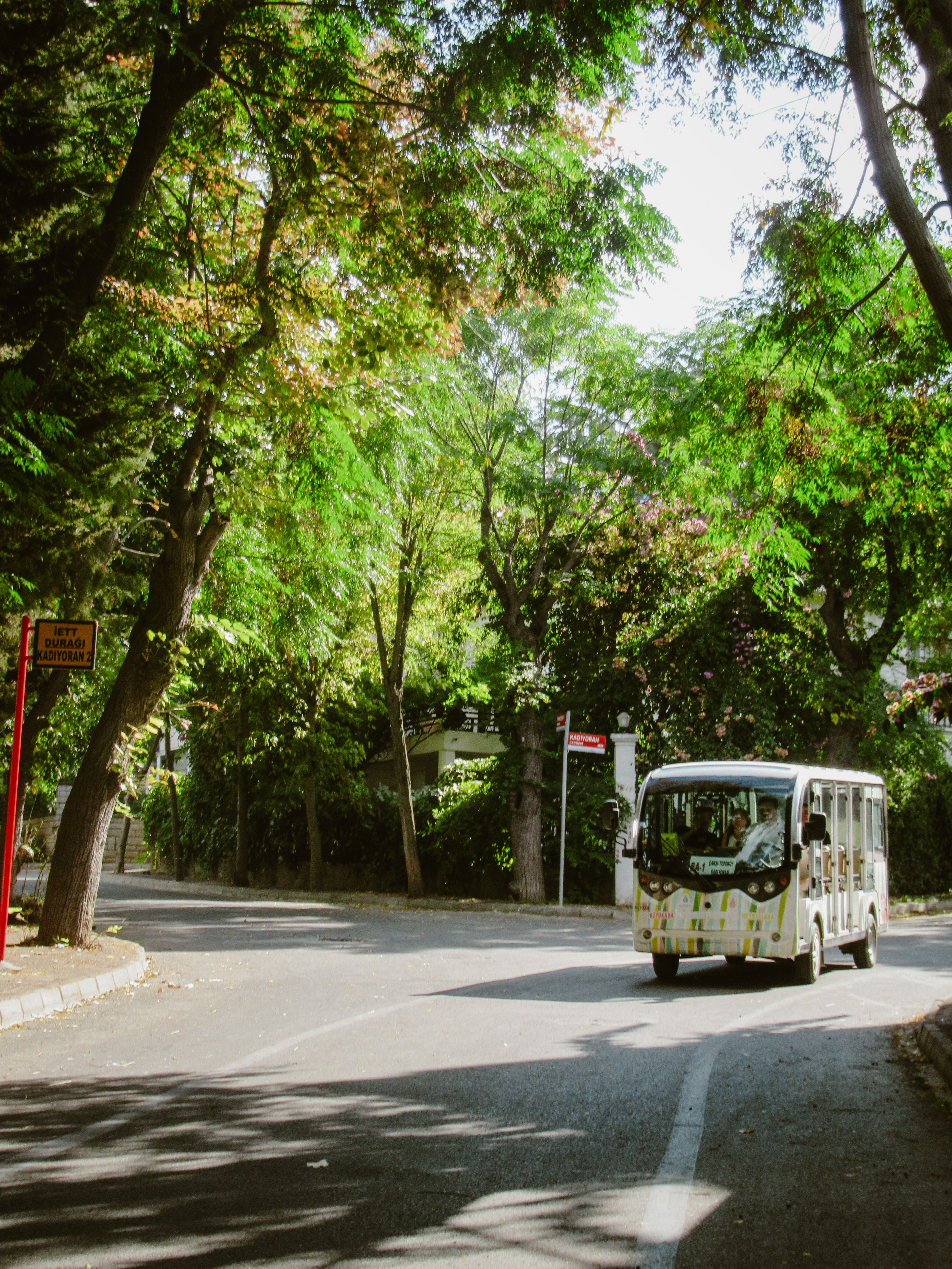 Bus on Street · Free Stock Photo