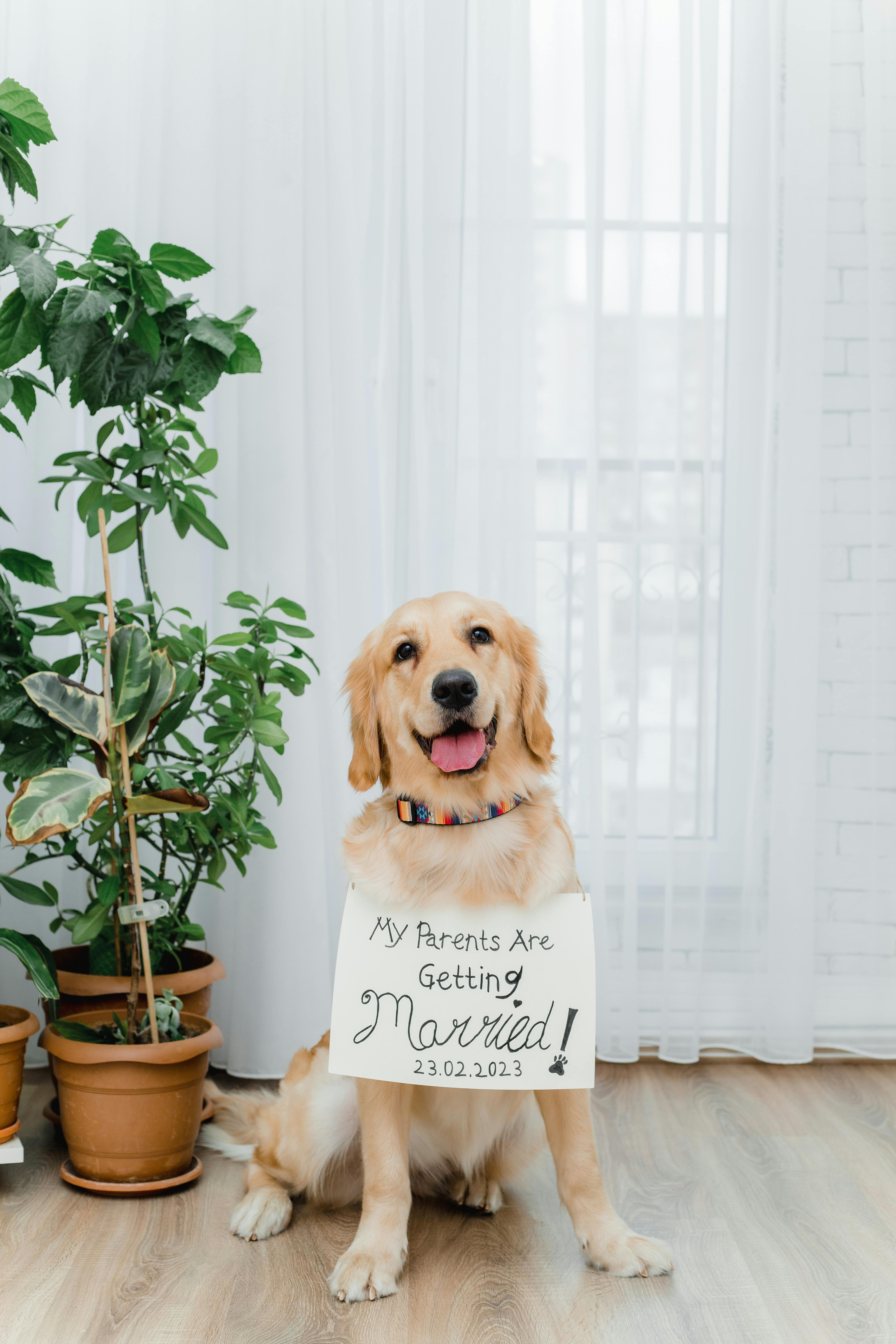 Slap Floor Photos, Download The BEST Free Slap Floor Stock Photos & HD ...