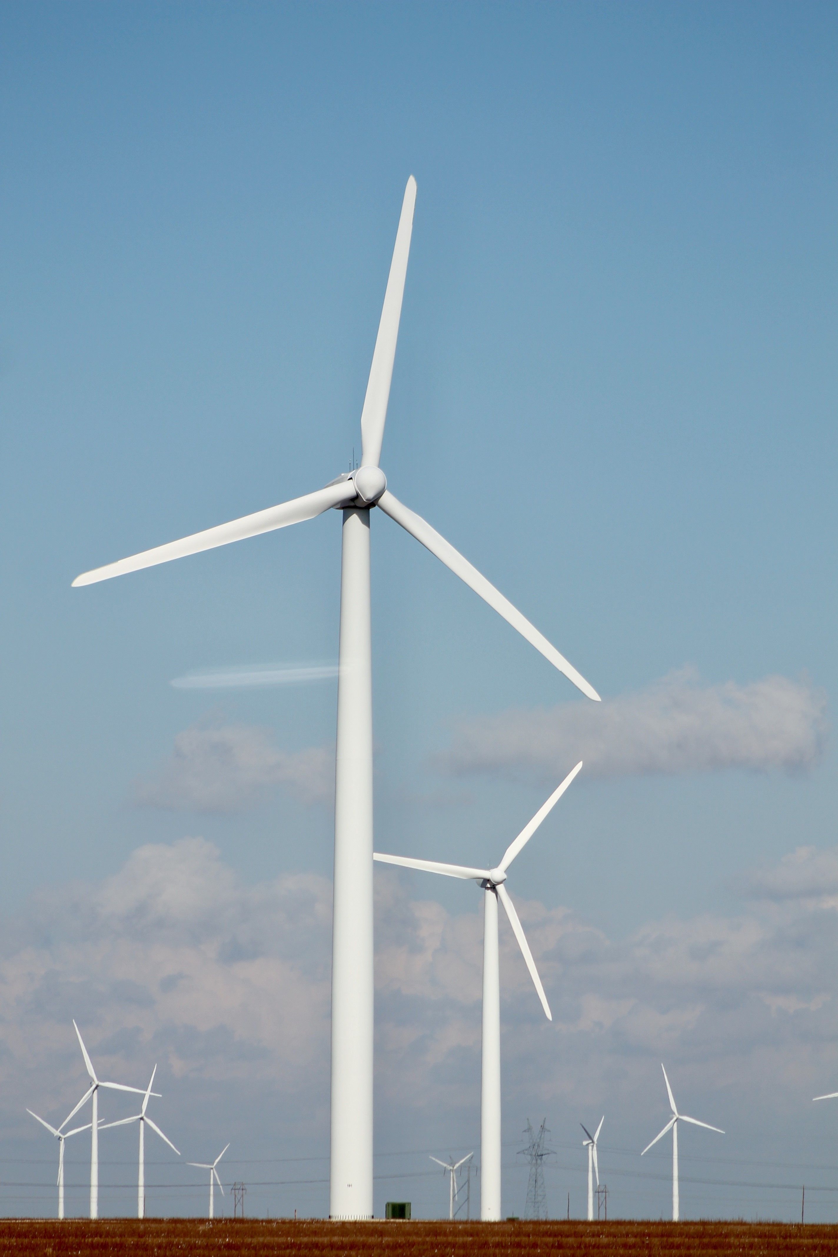 A Wind Farm Under the Blue Sky · Free Stock Photo