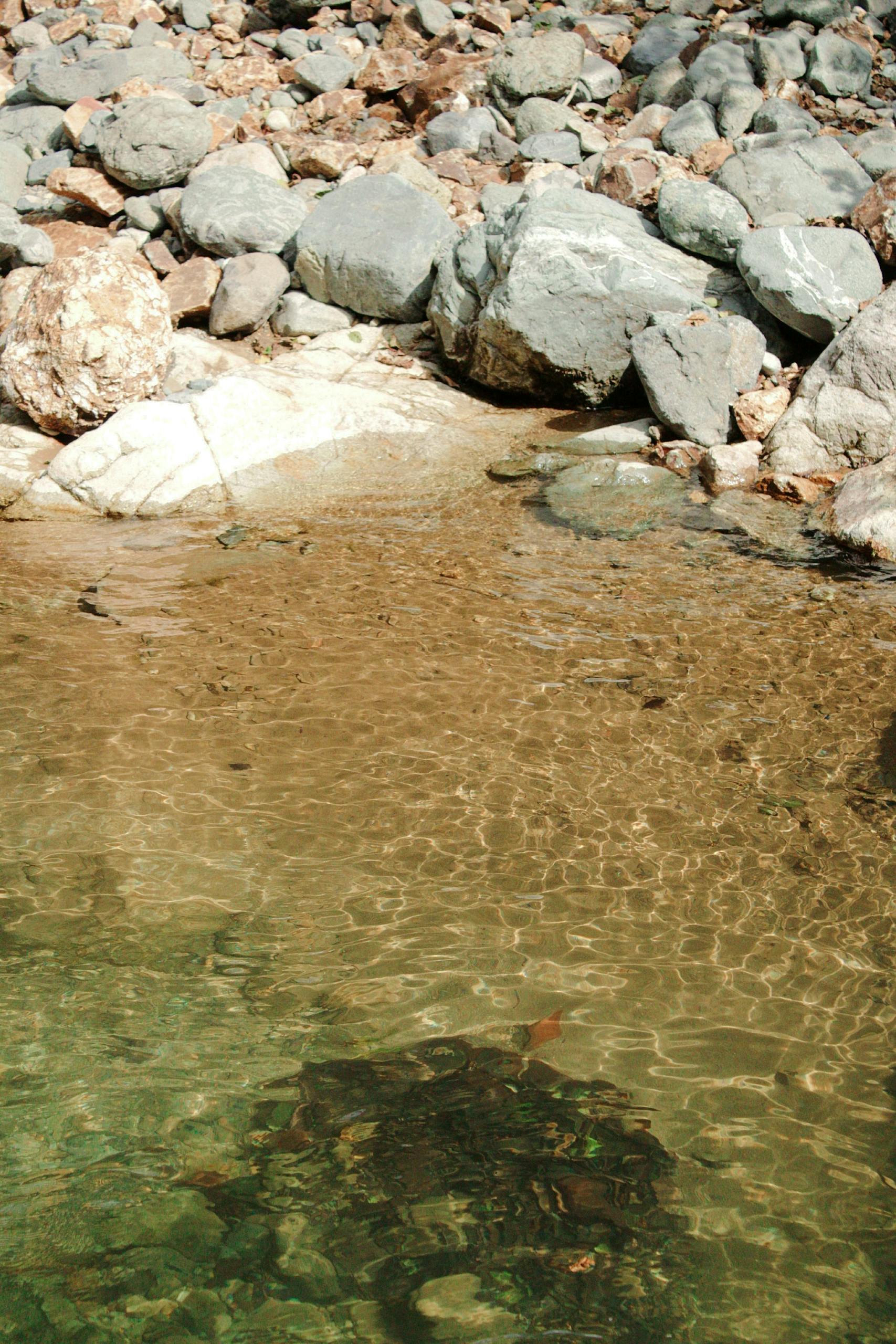Photograph of Wet Rocks on a Creek · Free Stock Photo