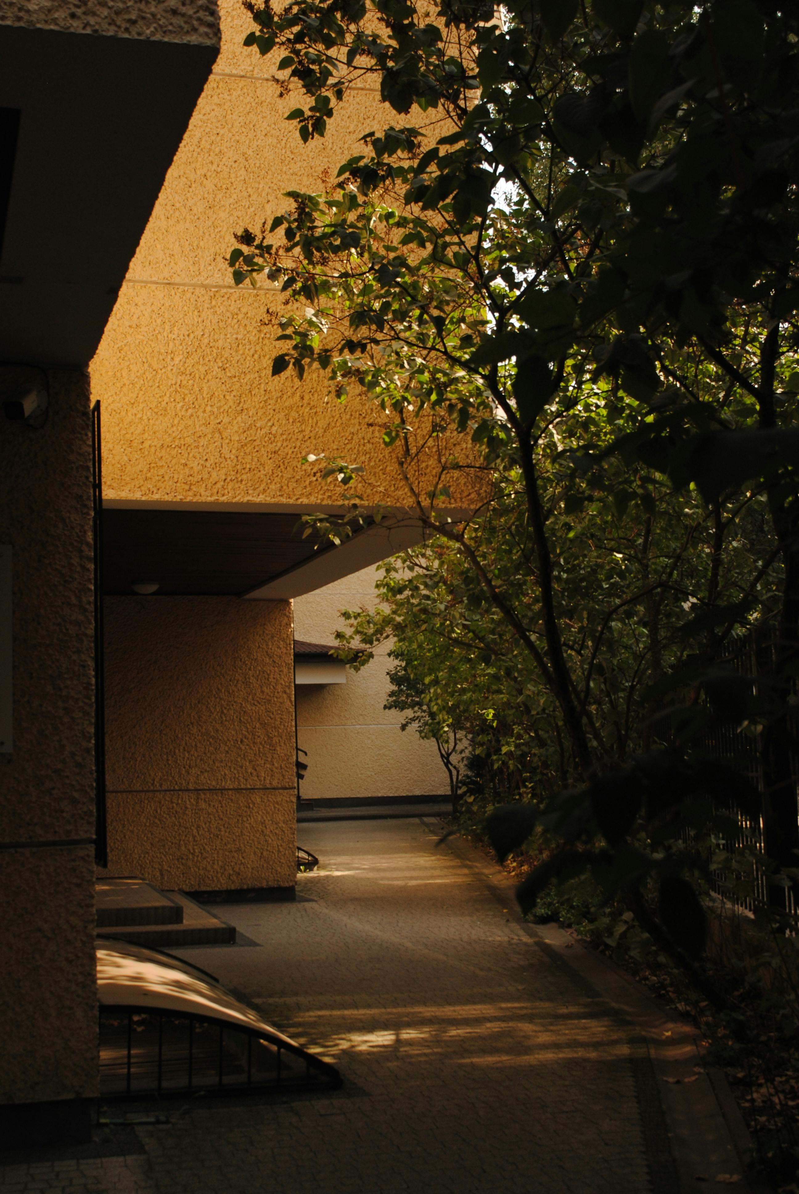 Empty Plot Photos, Download The BEST Free Empty Plot Stock Photos & HD ...