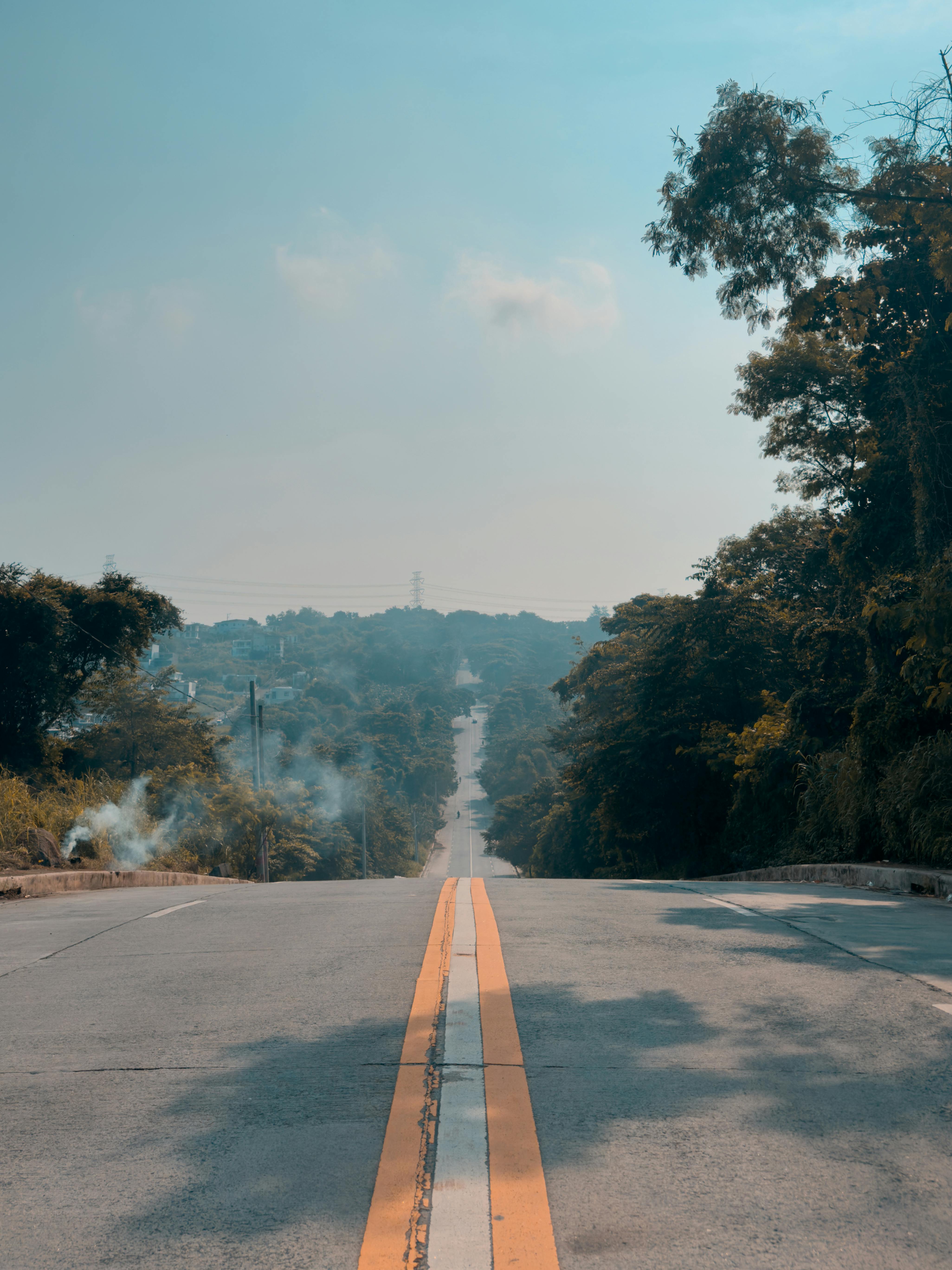 Domsa Photos, Download The BEST Free Domsa Stock Photos & HD Images