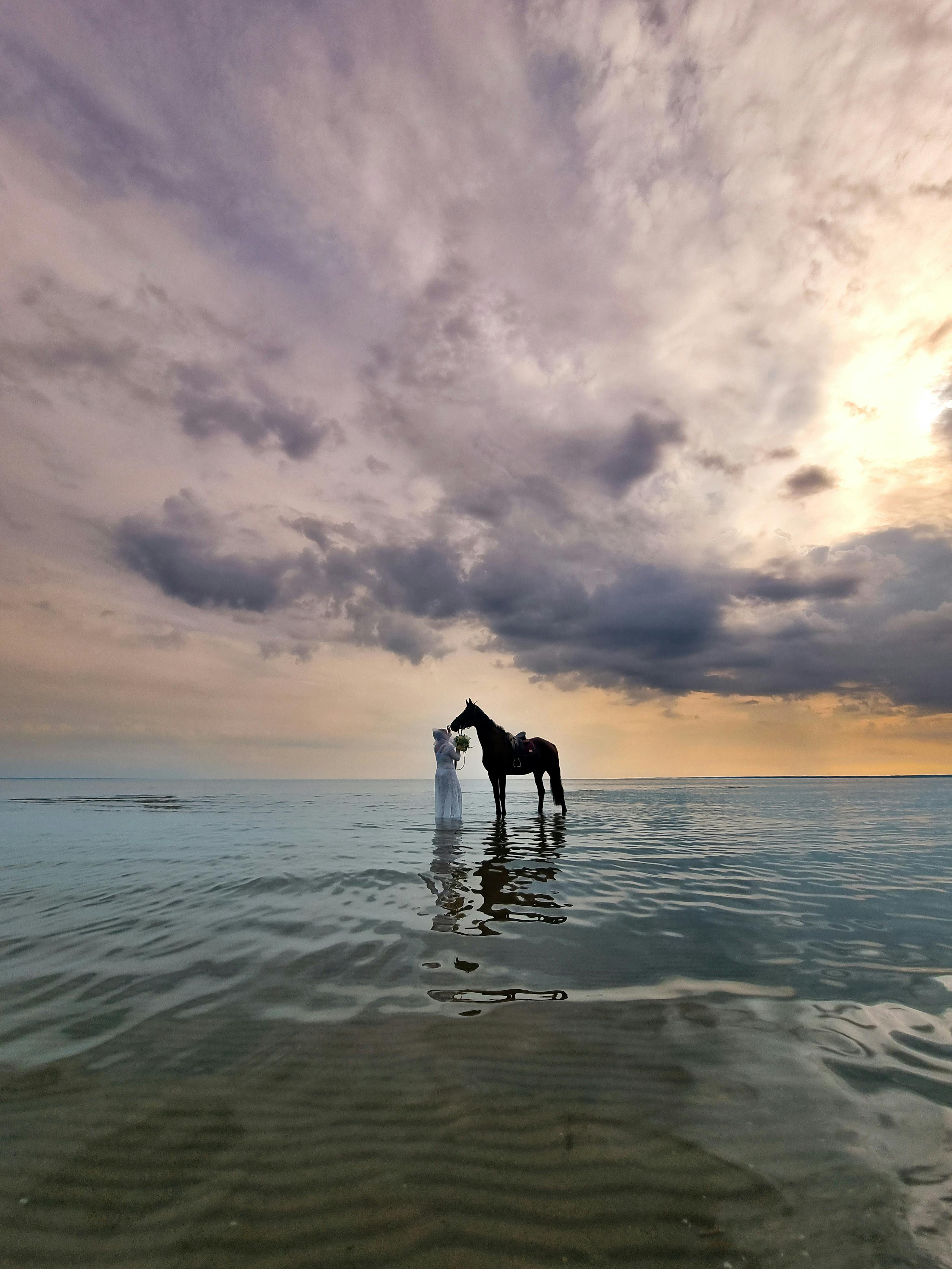 Viaggio Per Mare Photos, Download The BEST Free Viaggio Per Mare Stock ...