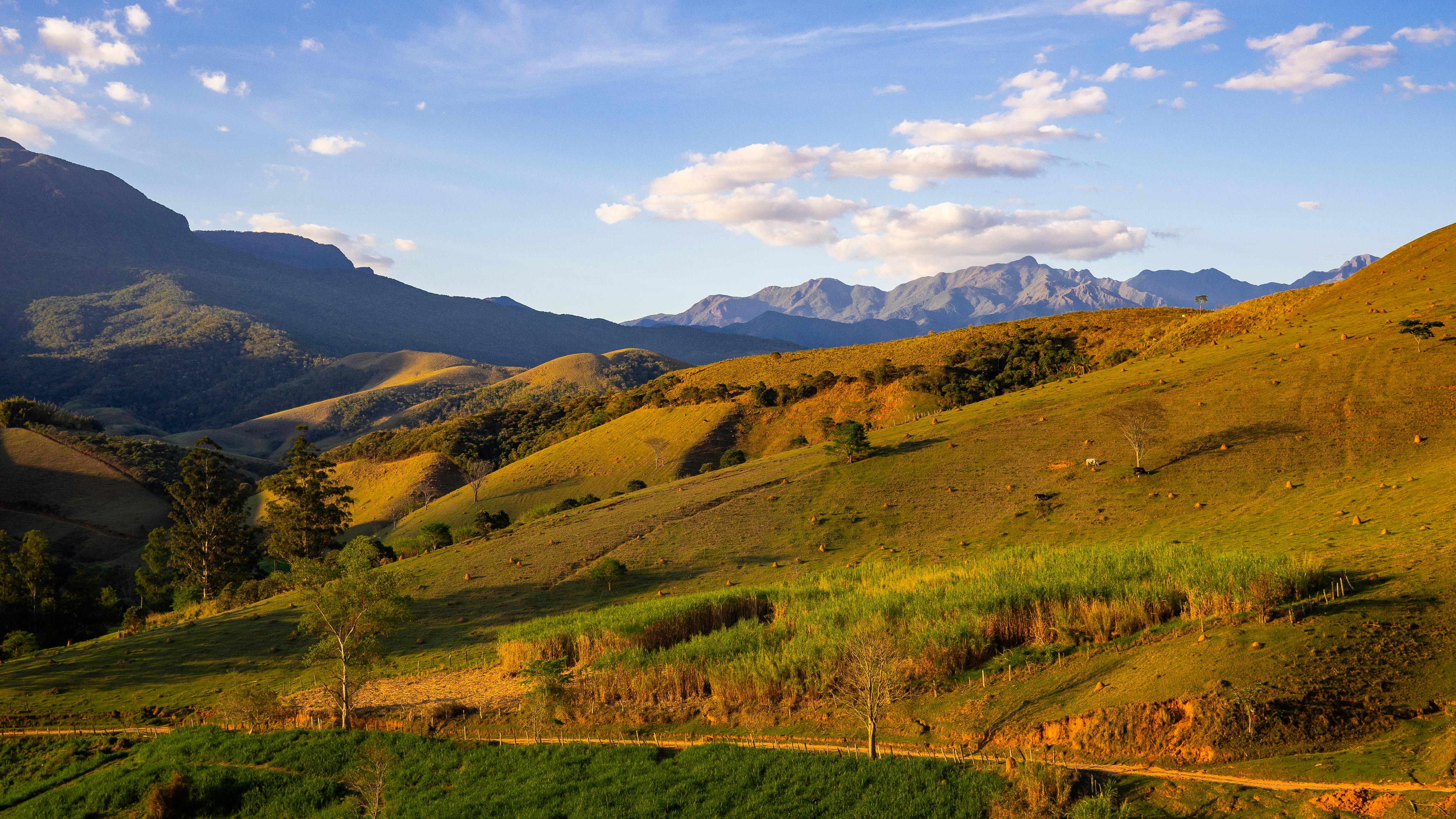Idyllic Hill Landscape with Small Wooden Huts · Free Stock Photo