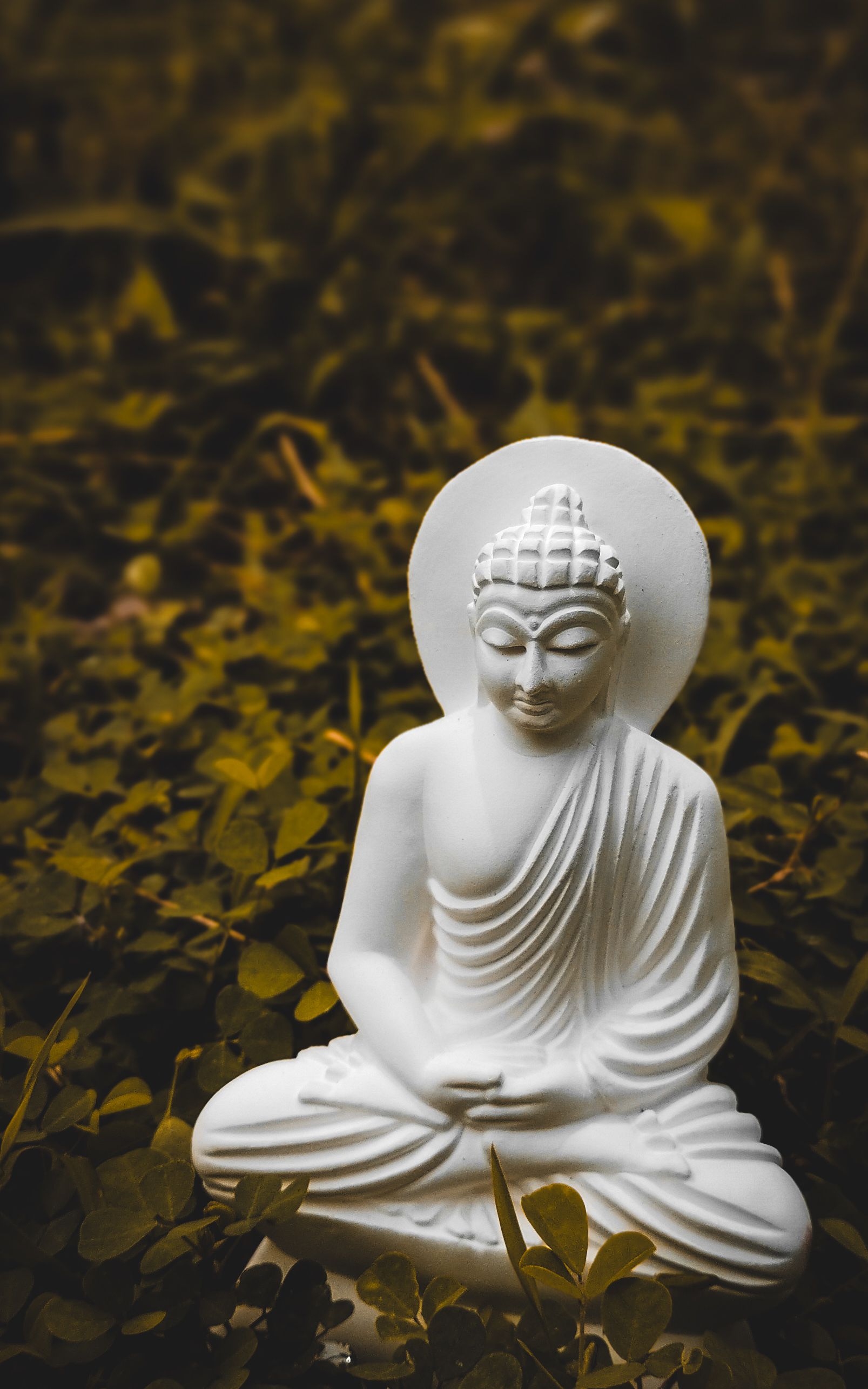Blue Buddha Ceramic Head Figurine · Free Stock Photo