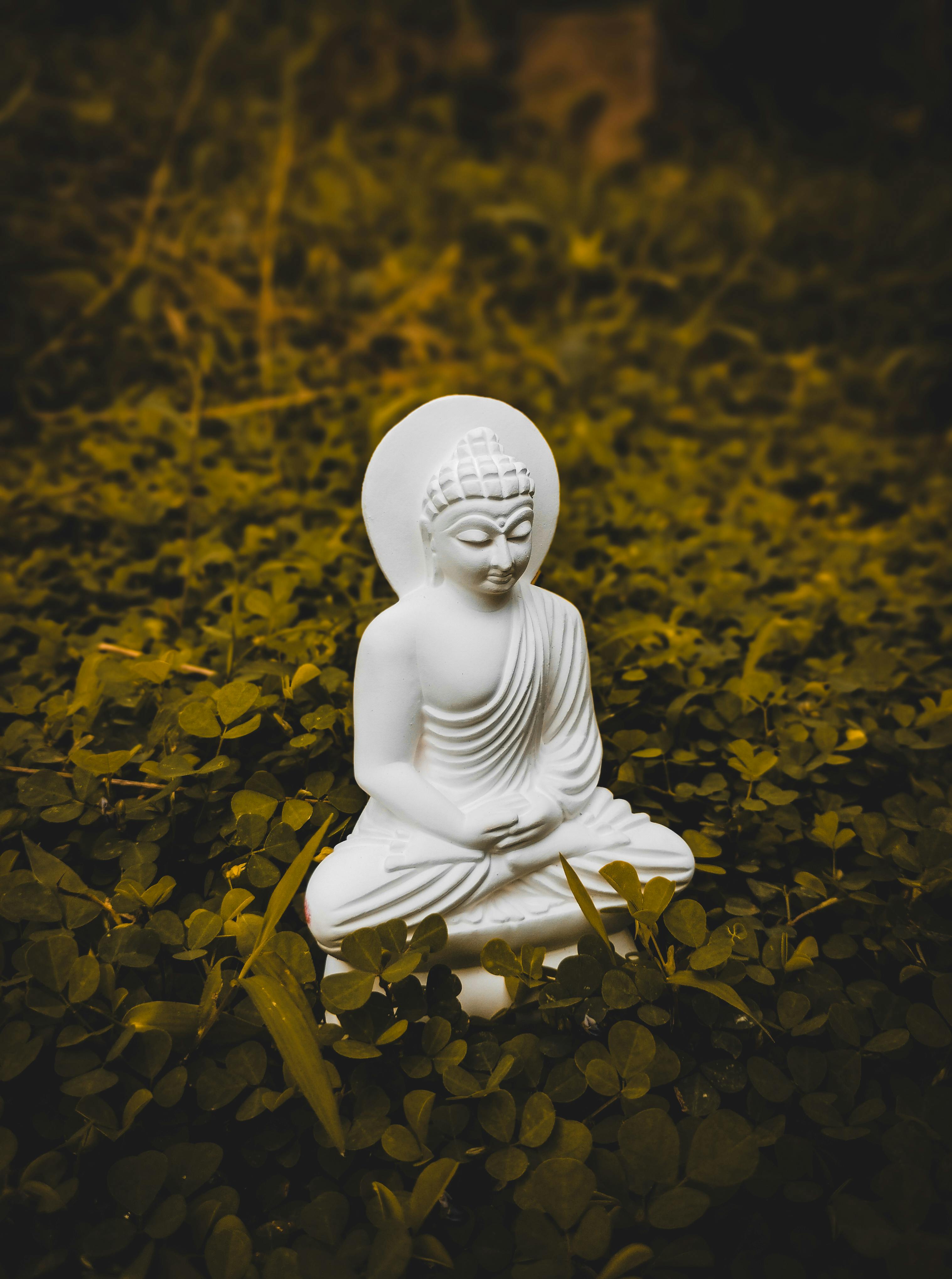 Buddha Fej Photos, Download The BEST Free Buddha Fej Stock Photos & HD ...