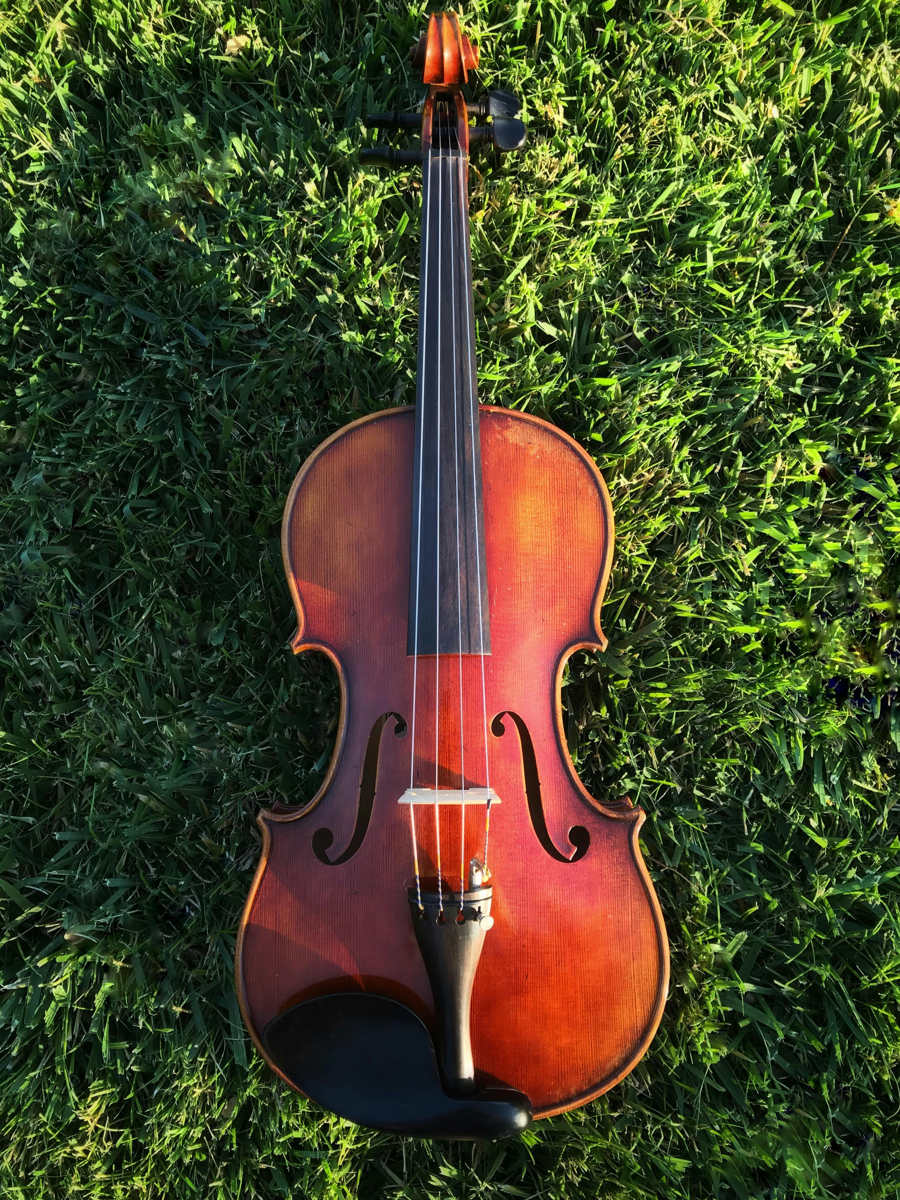 Foto de stock gratuita sobre #instrumento, #outdoorchallenge, chelo