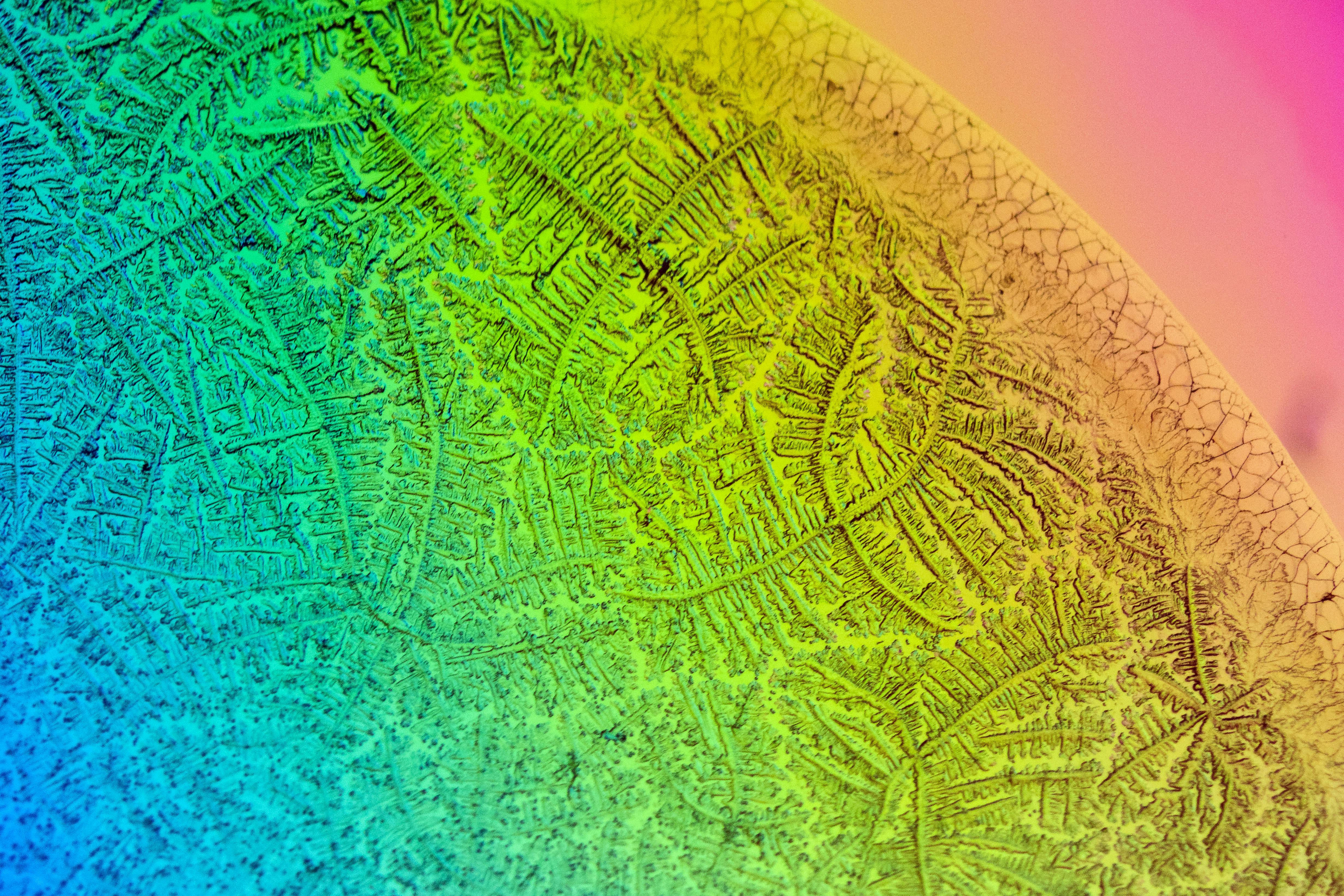 Multi Color Painting · Free Stock Photo