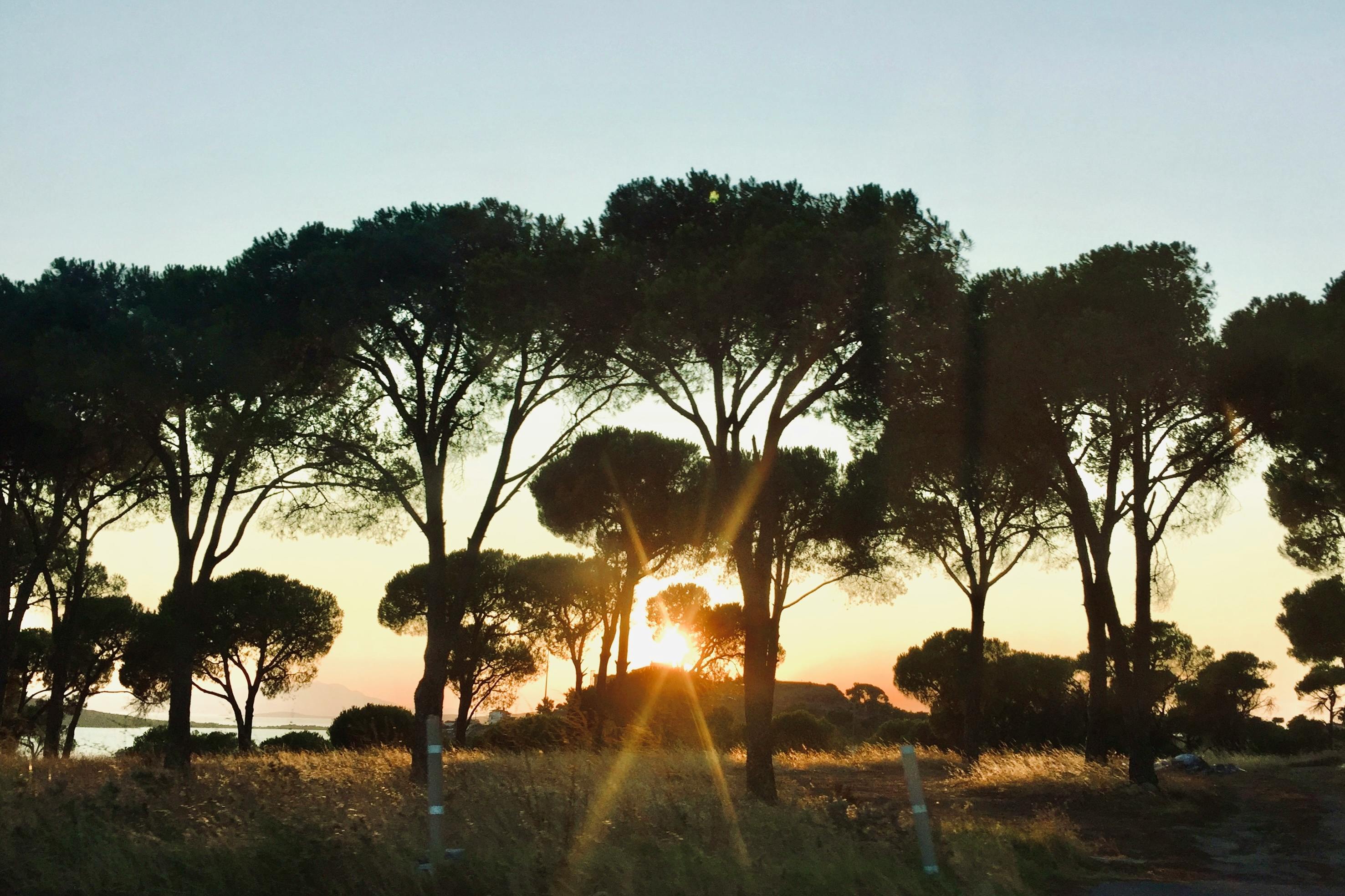 Orman Resmi Photos, Download The BEST Free Orman Resmi Stock Photos ...