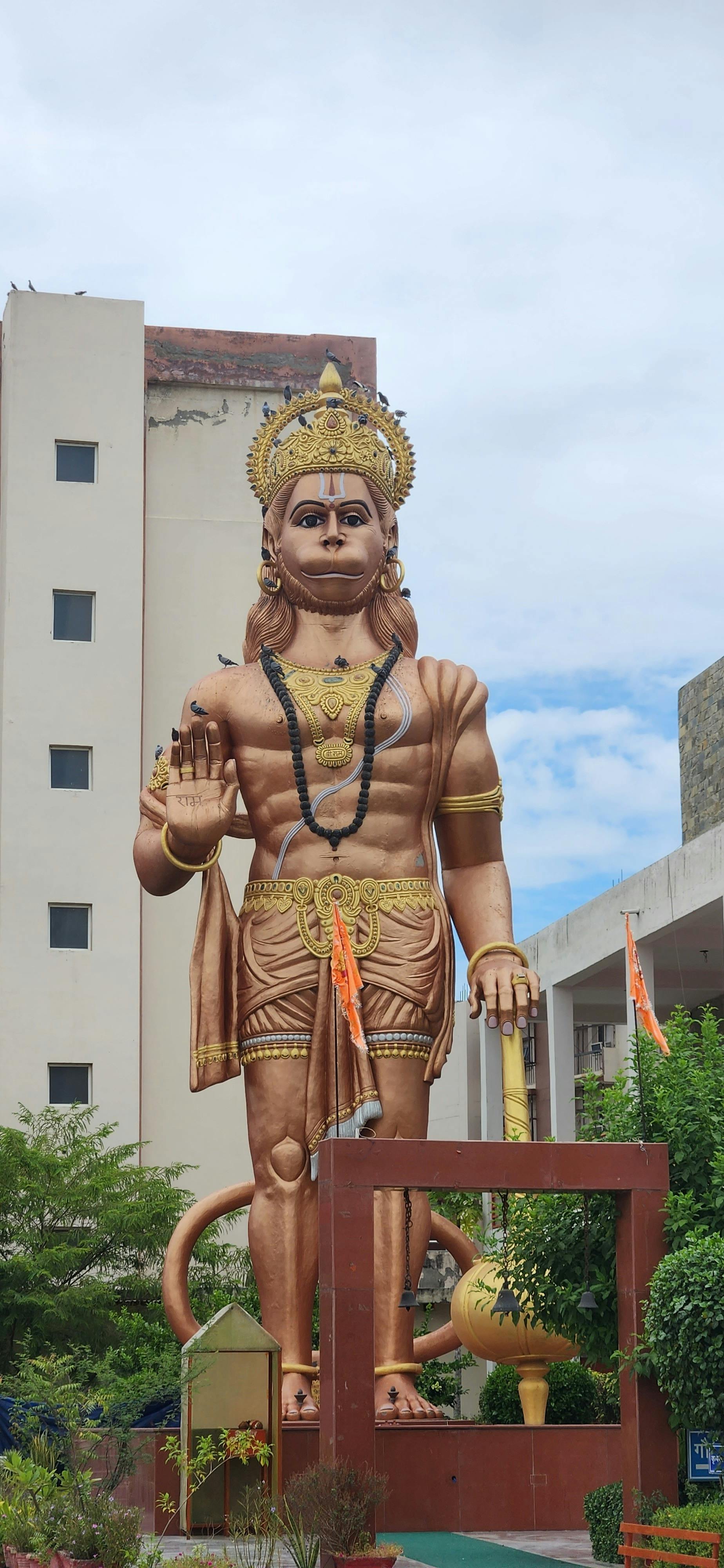 Janhavi Gupta - Fotografía