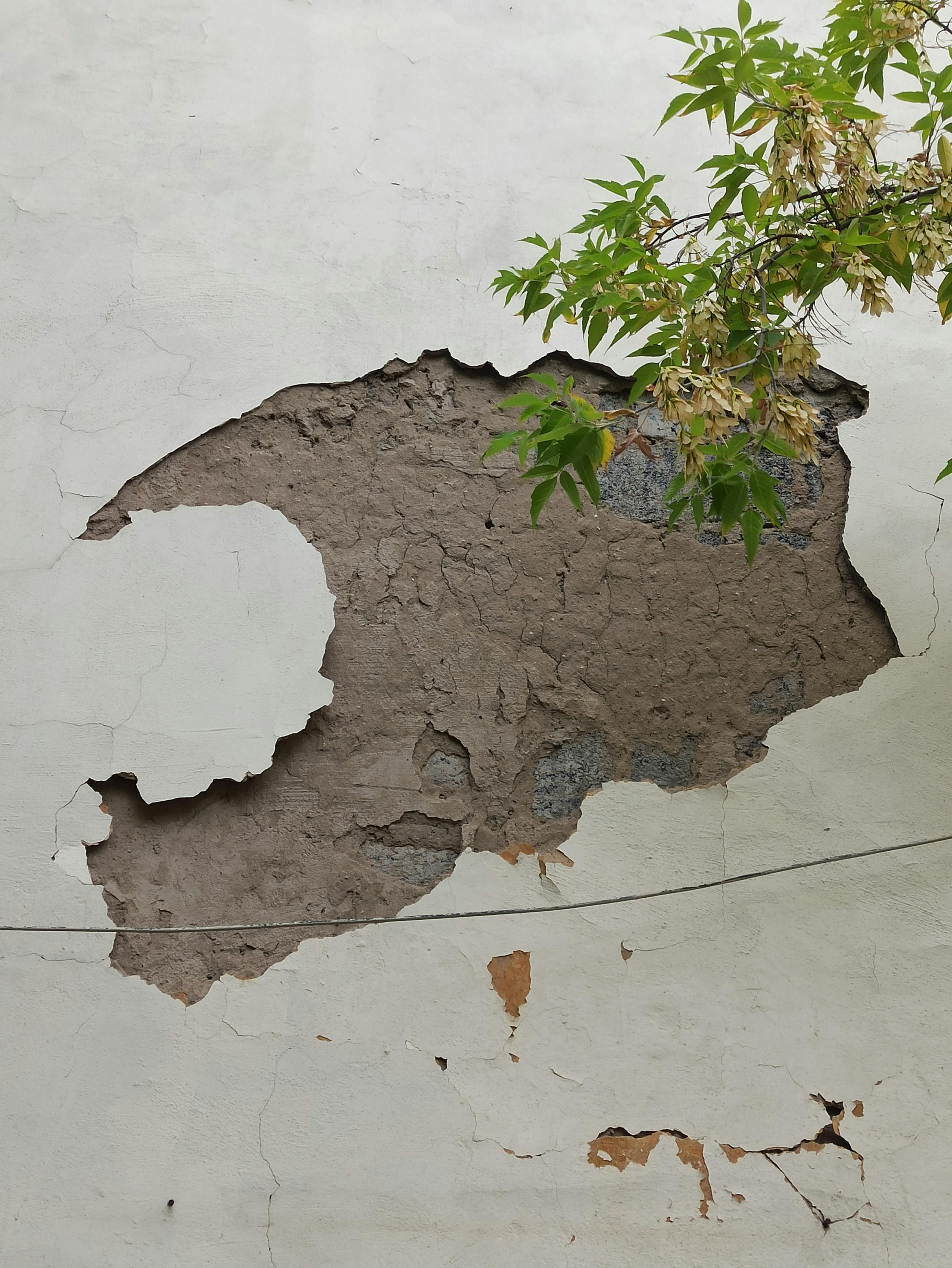 Aging Materials Photos, Download The BEST Free Aging Materials Stock ...