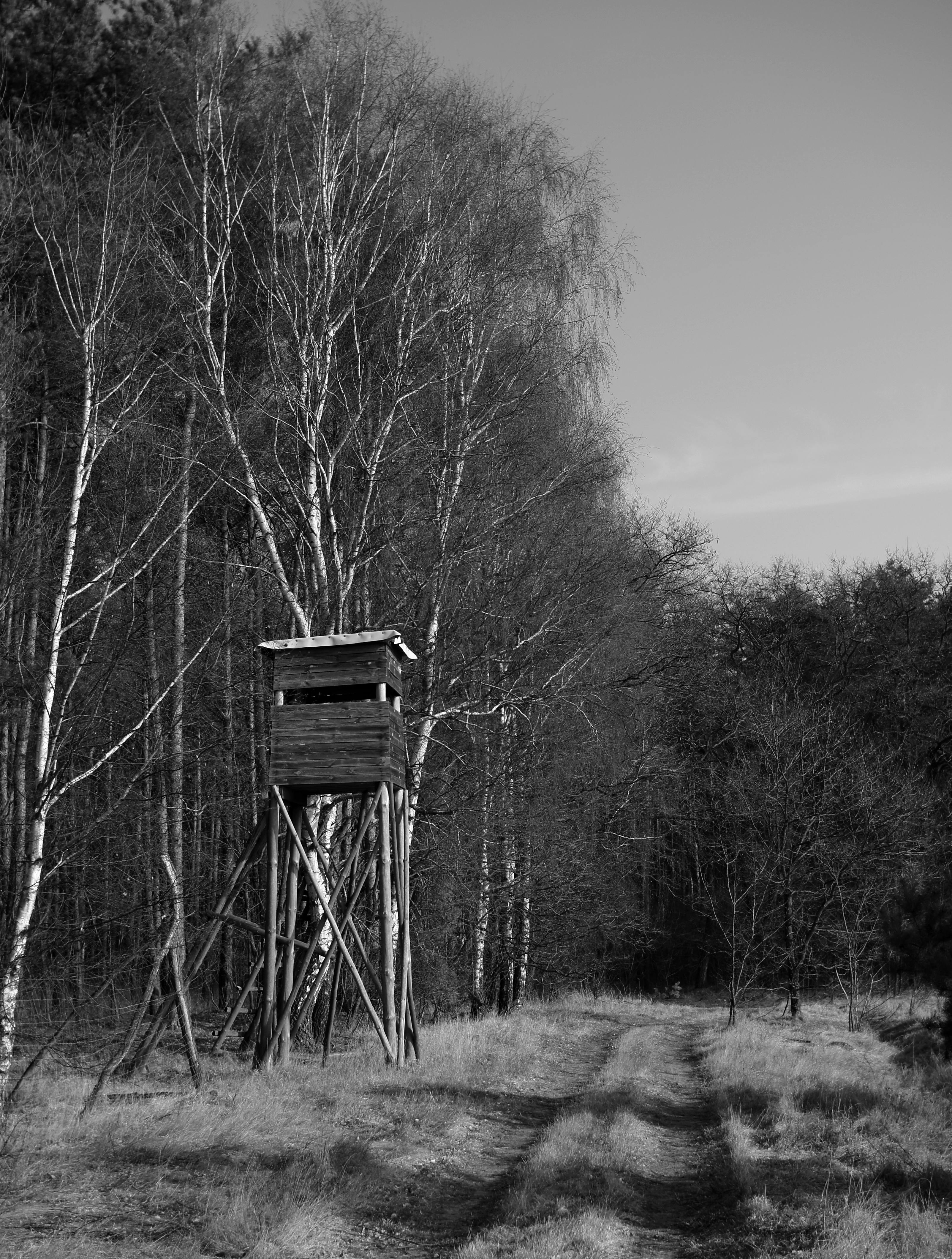 Black and White Landscape with a Hunting Box · Free Stock Photo