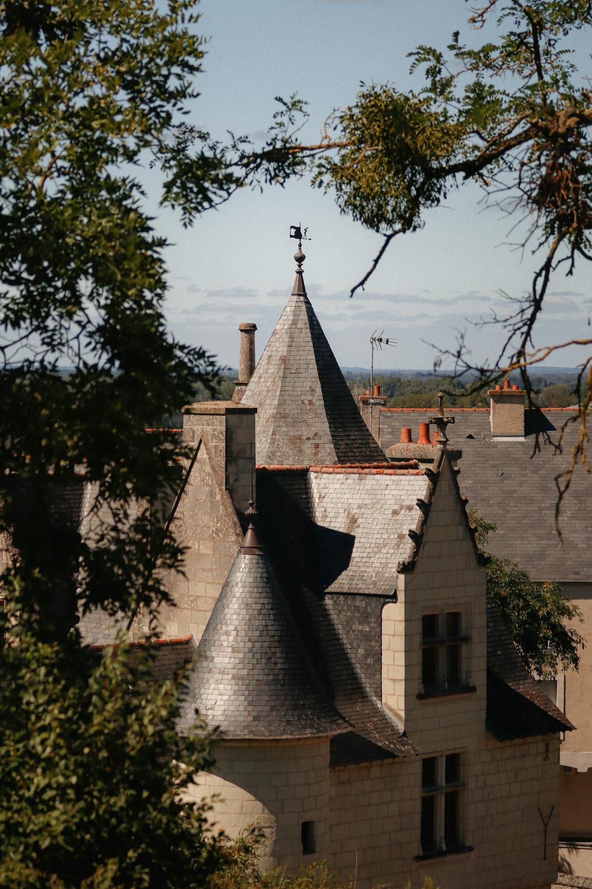 Medieval Roofs Photos, Download The BEST Free Medieval Roofs Stock ...