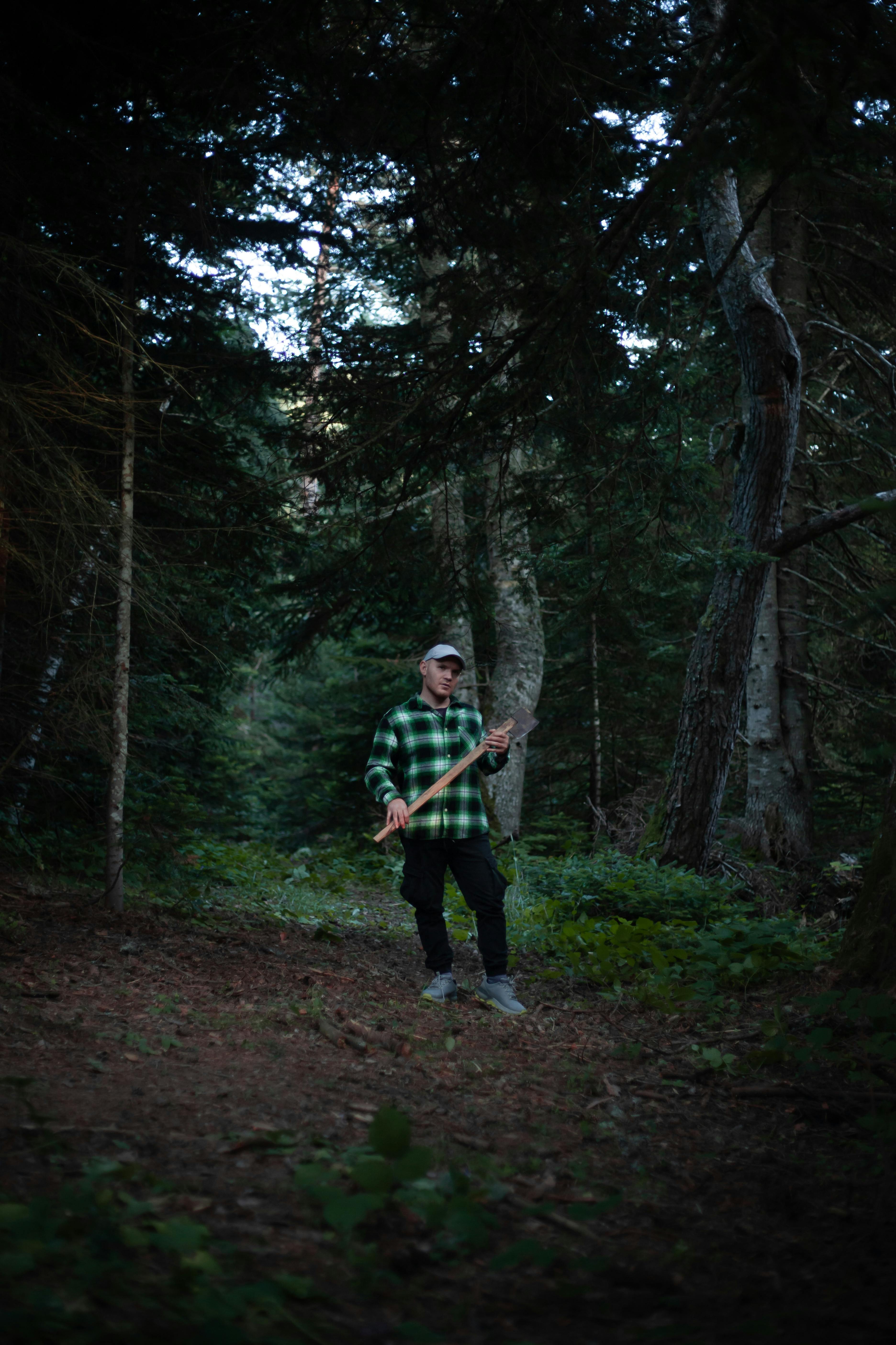 Motor Bat Photos, Download The BEST Free Motor Bat Stock Photos & HD Images