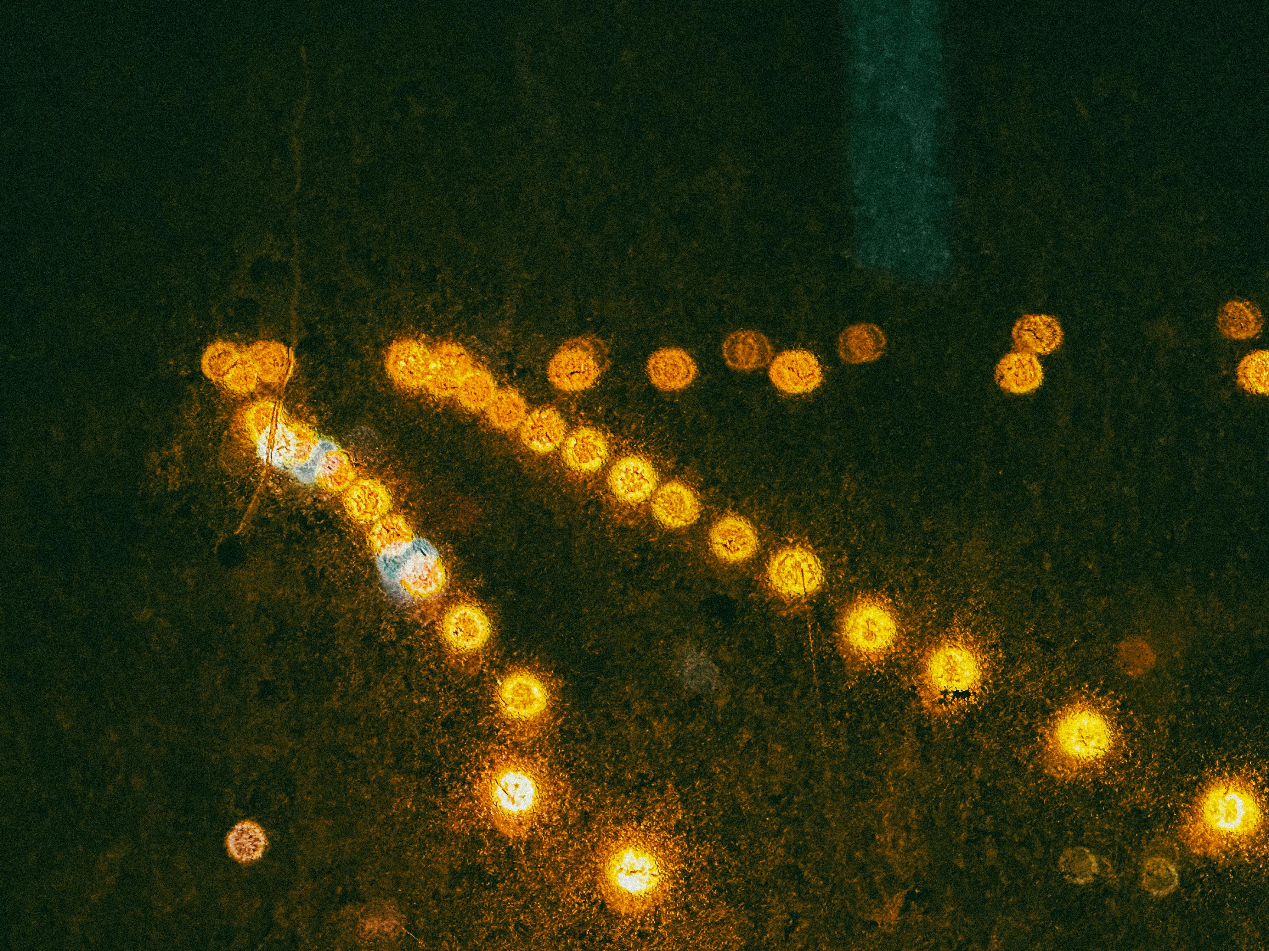 Blurred Streetlights Seen through a Wet Window Glass · Free Stock Photo