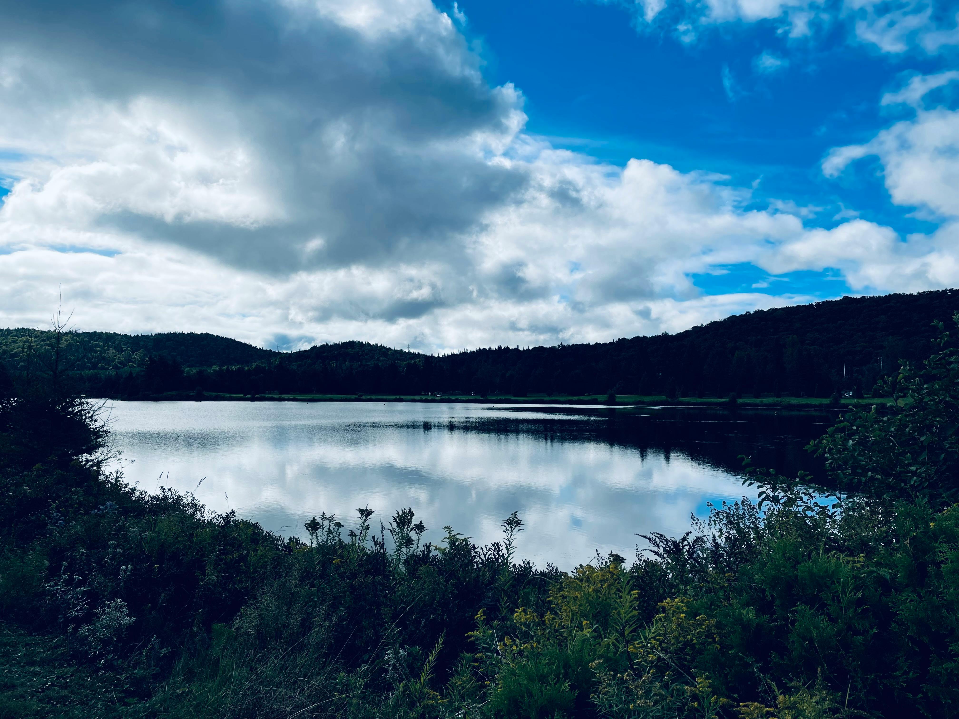 Kim Messier - Photography