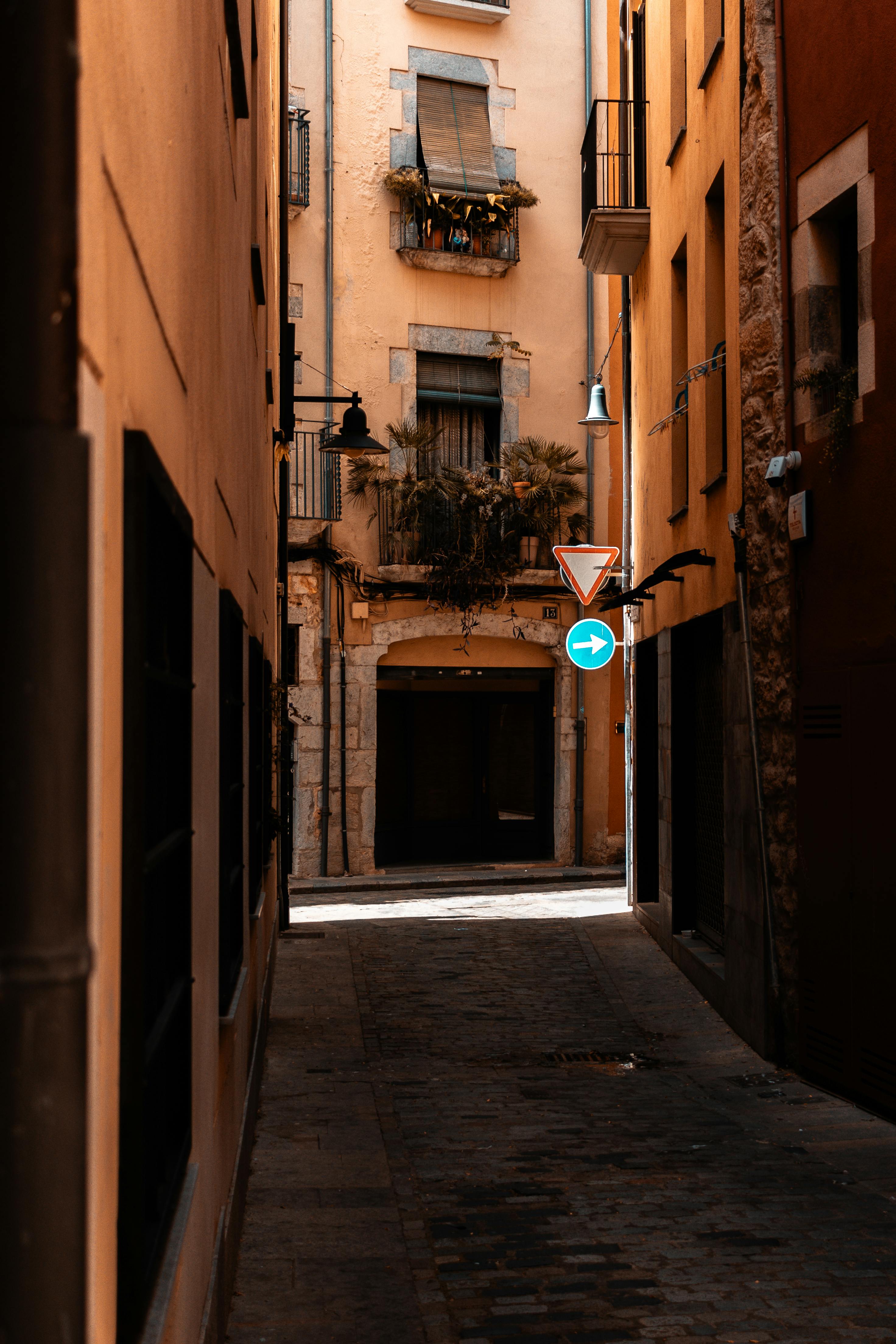 Microsoft Photos, Download The BEST Free Microsoft Stock Photos & HD Images