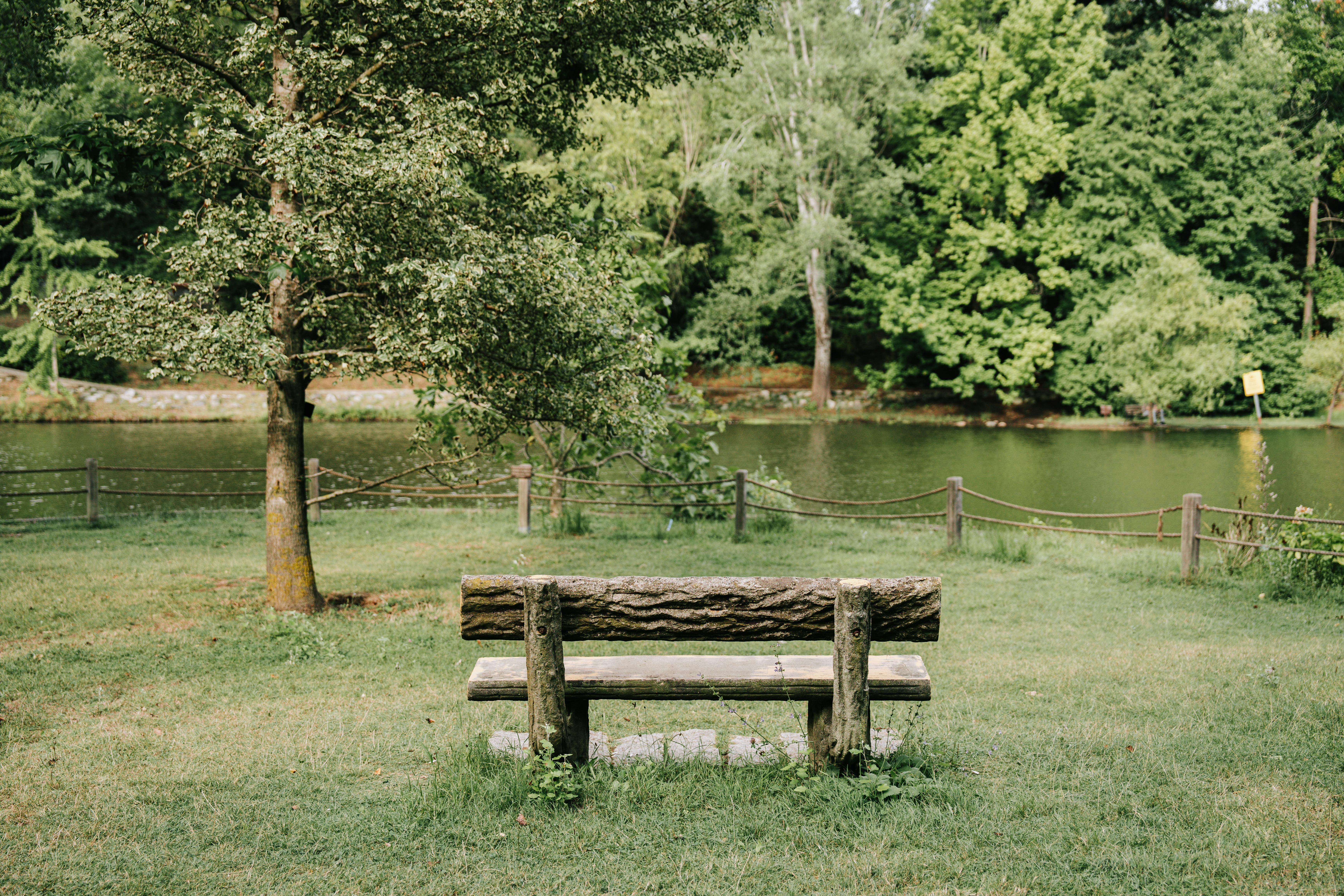 A Bench in the Park · Free Stock Photo