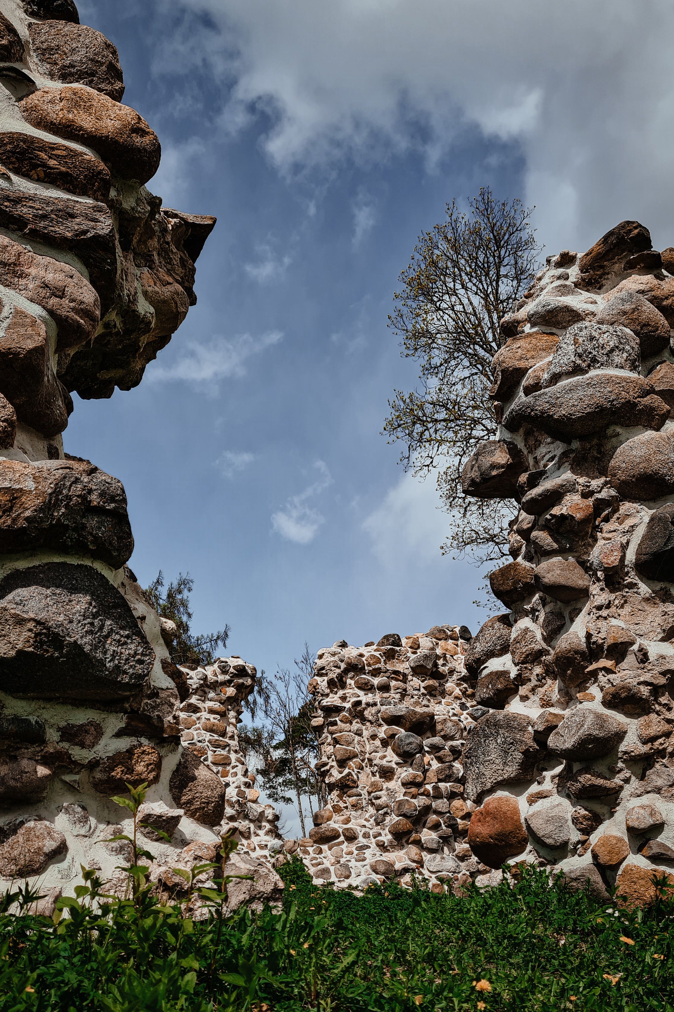 Remnant Photos, Download The BEST Free Remnant Stock Photos & HD Images