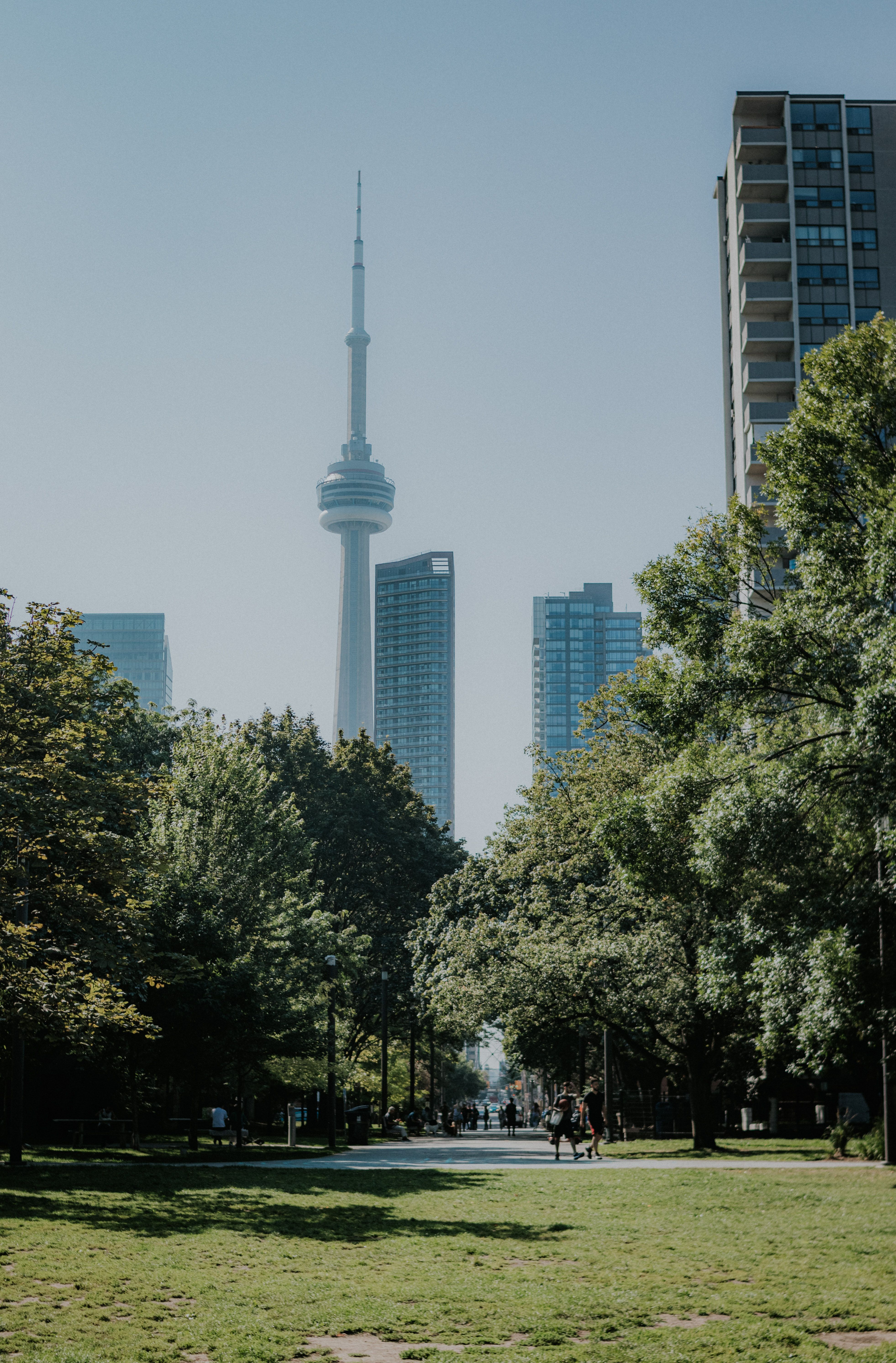 Toronto cityscape · Free Stock Photo