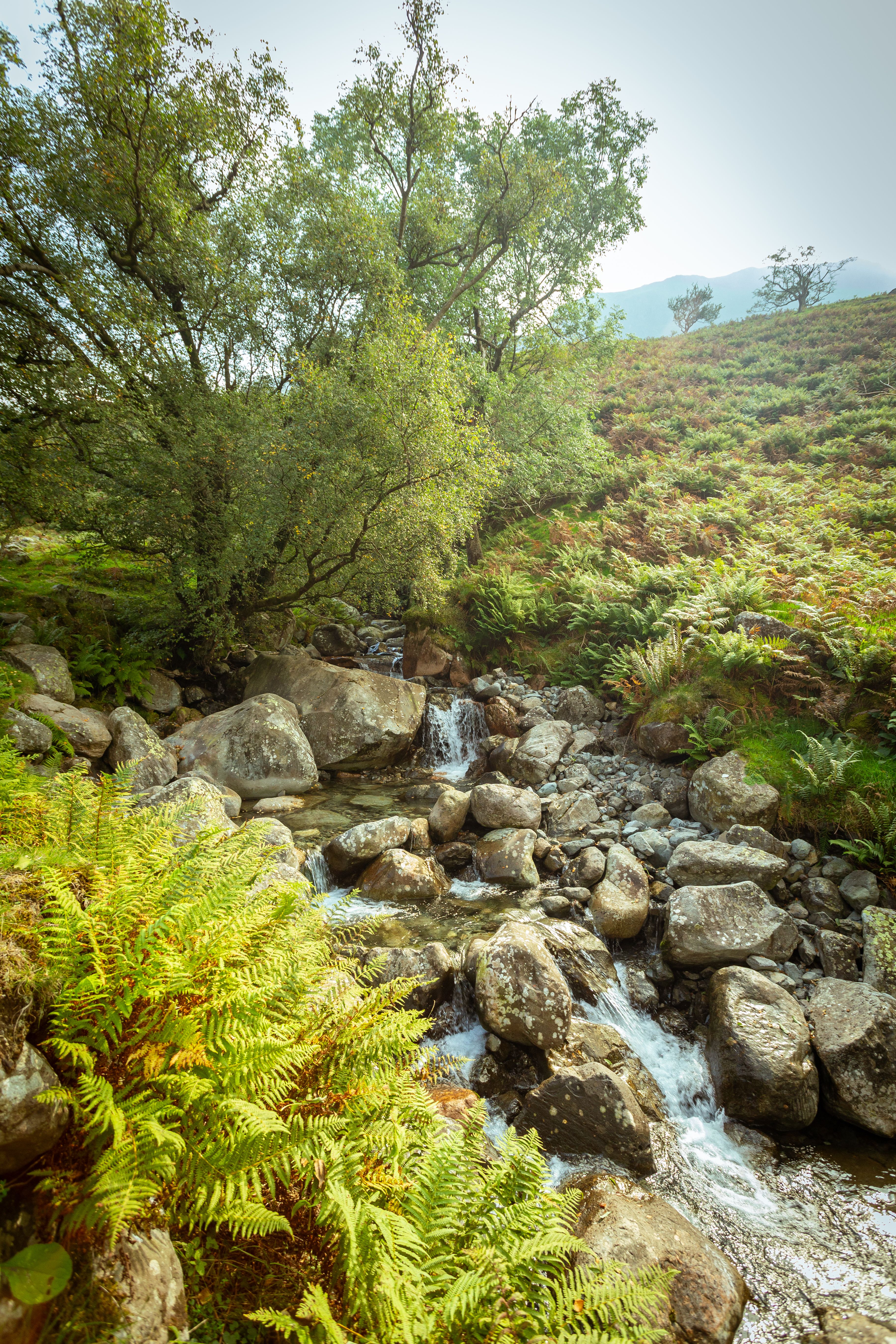 A Rocky Stream on a Grass Hill · Free Stock Photo