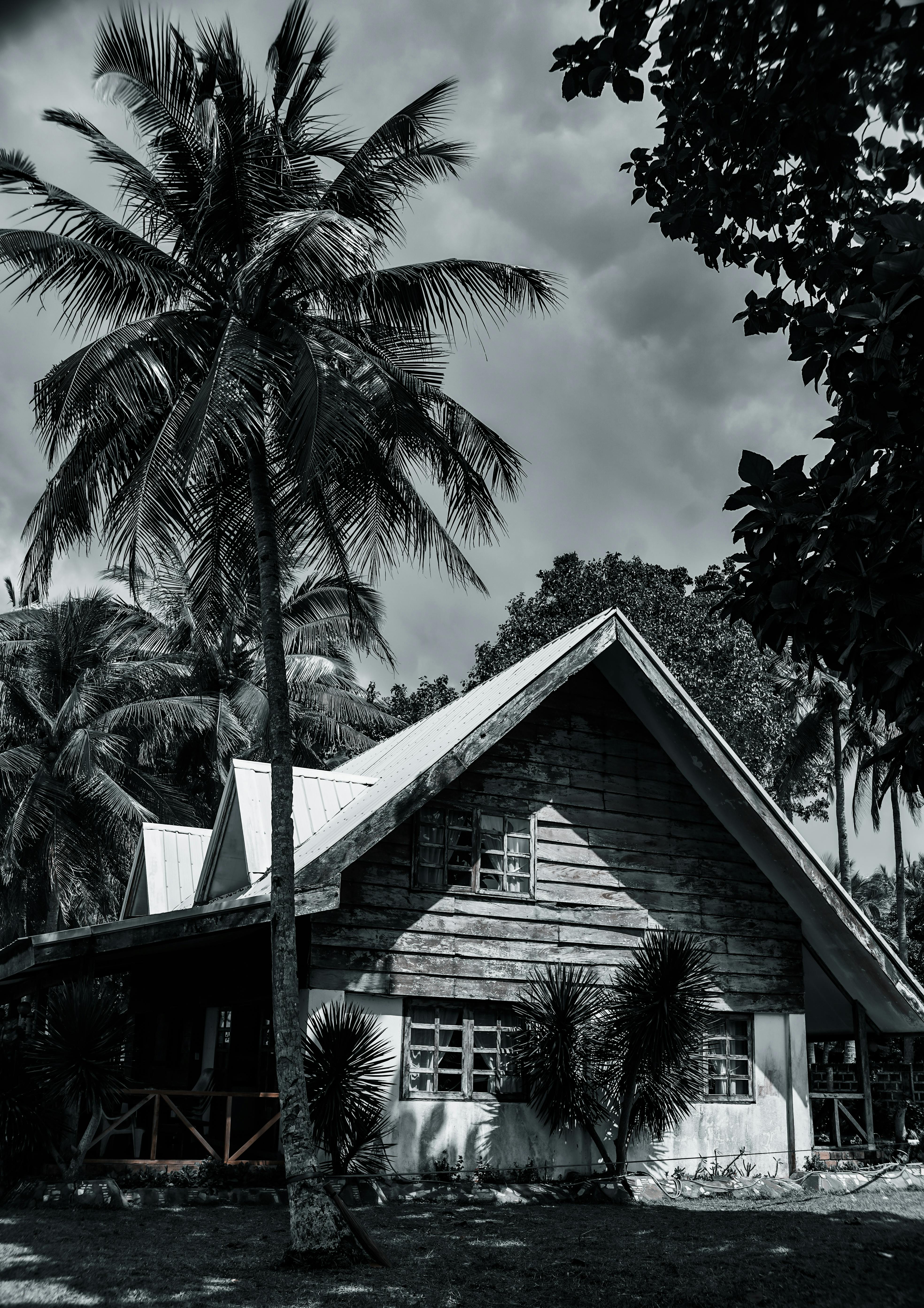 Foto de stock gratuita sobre fotos en blanco y negro, bungalow, casa ...
