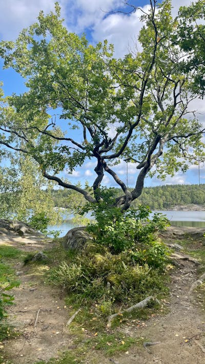 2 Paths Photos, Download The BEST Free 2 Paths Stock Photos & HD Images