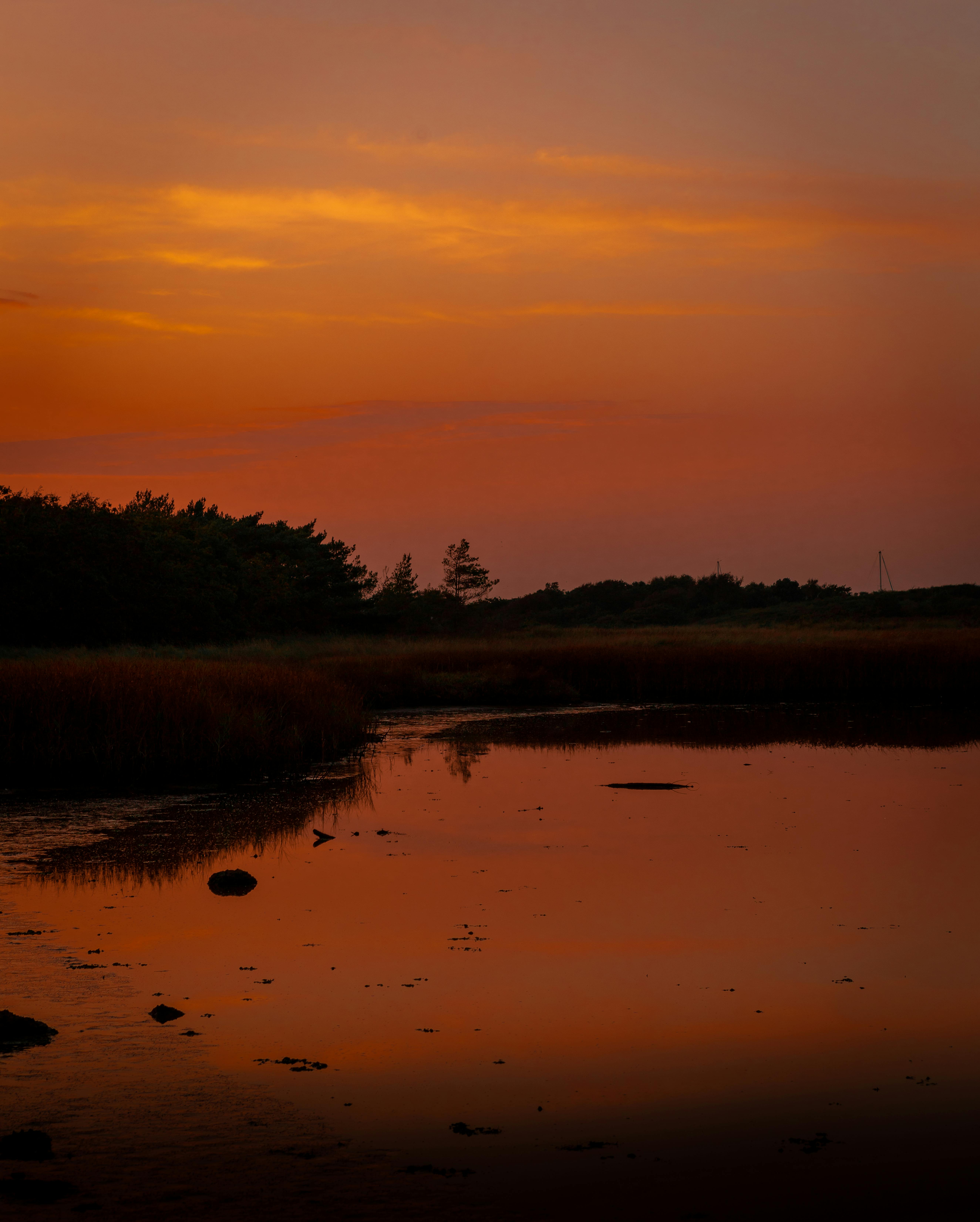 Placid Lake Surrounded by Reeds at Dusk · Free Stock Photo