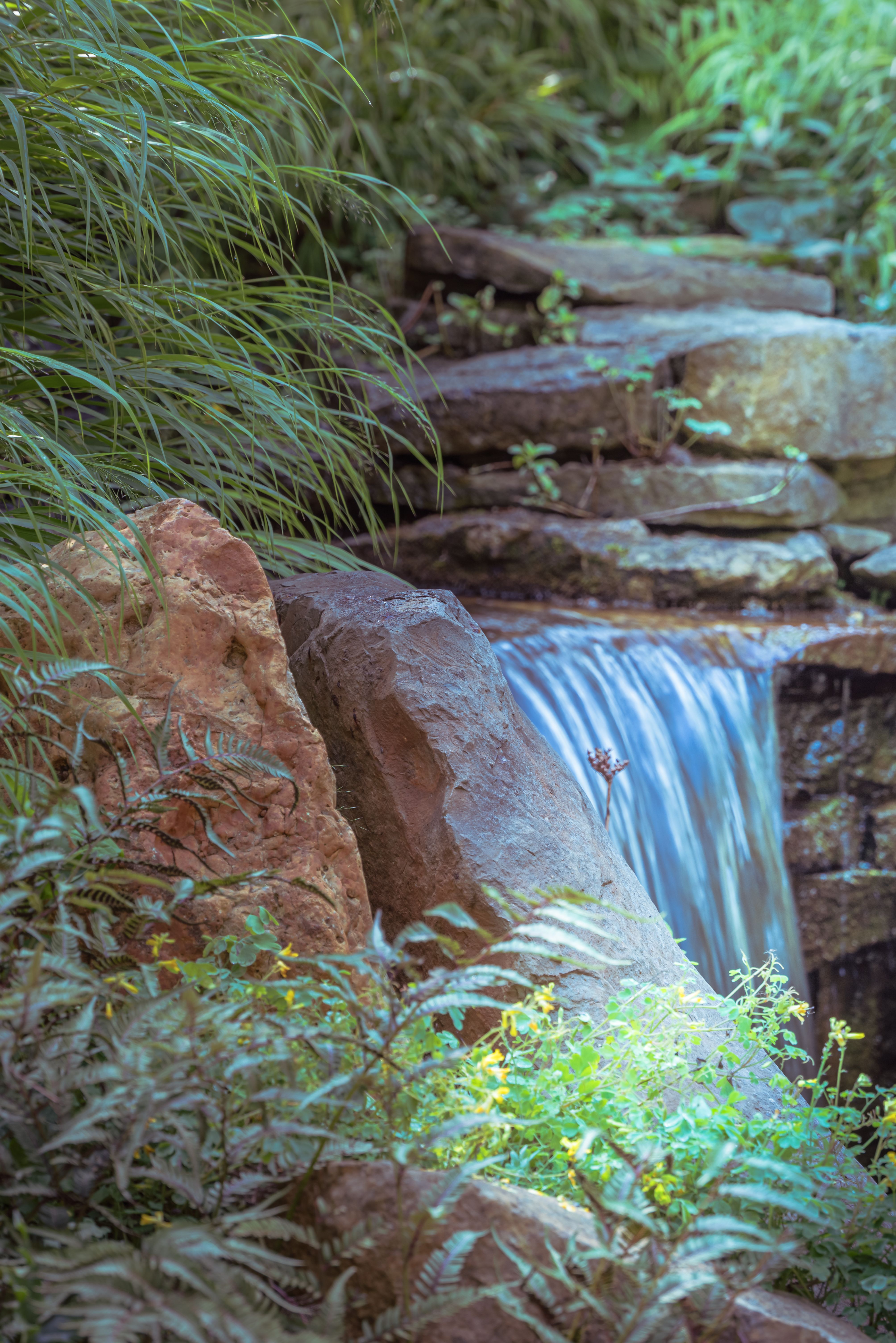 Stream Bed Stones · Free Stock Photo