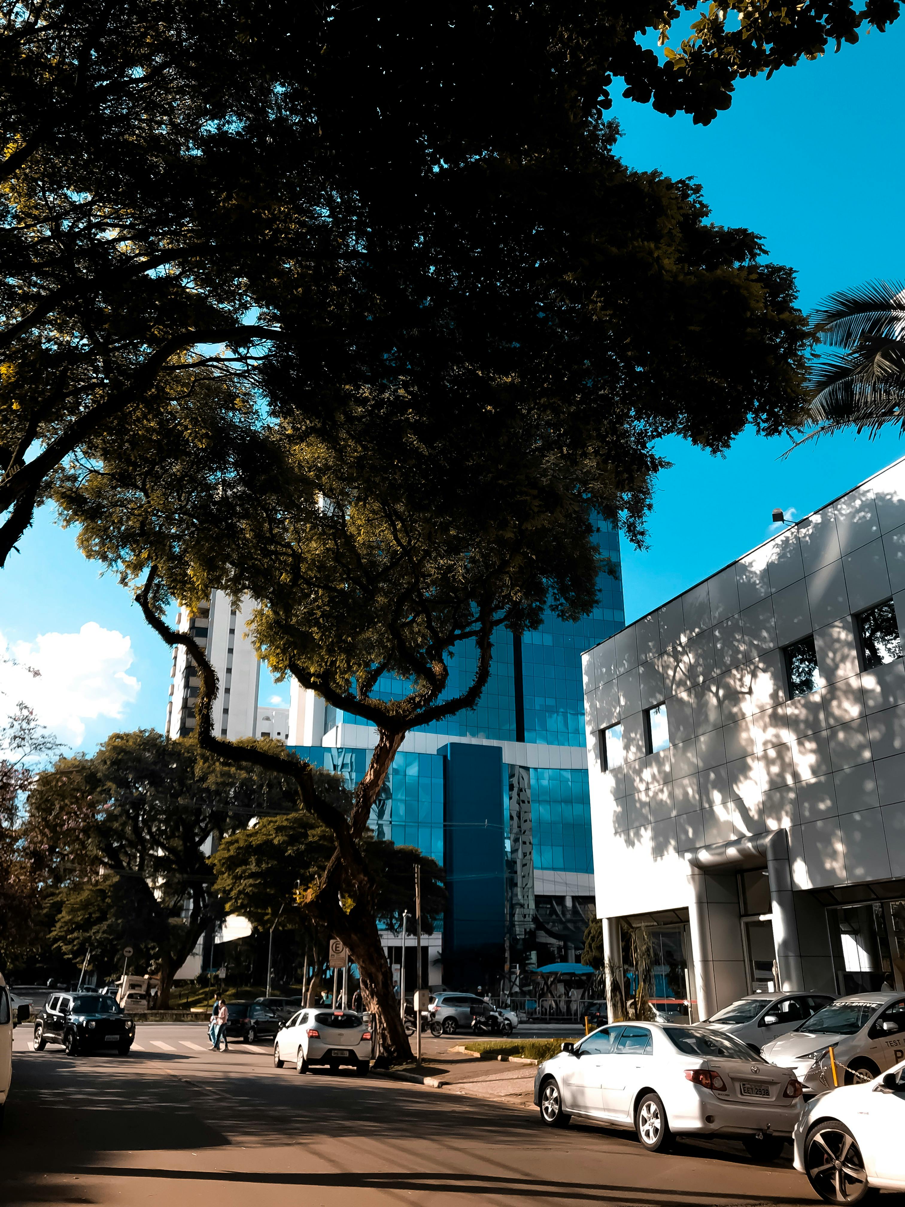Parked Cars In Front Of Building · Free Stock Photo