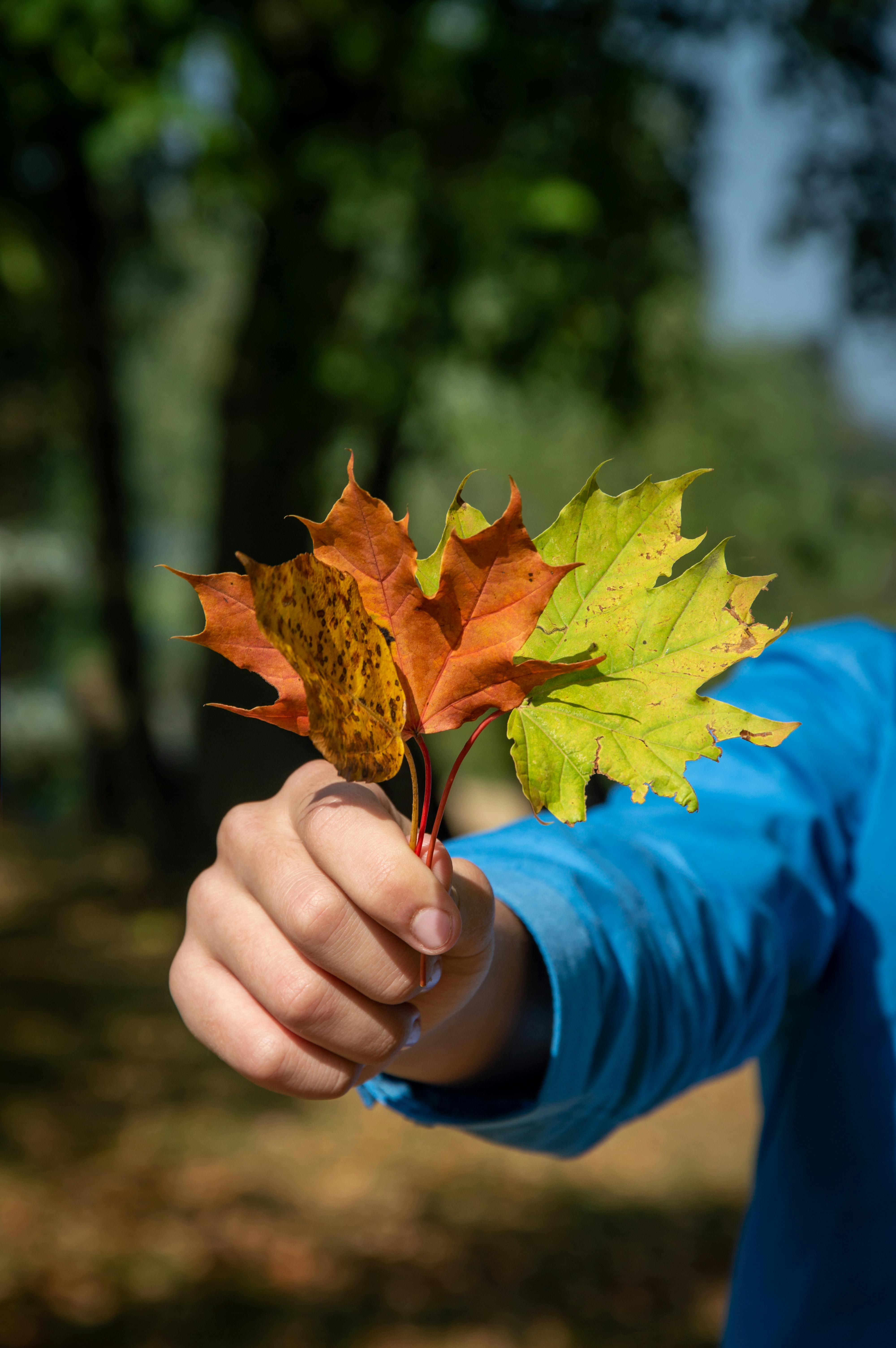 Hand Up Pong Photos, Download The BEST Free Hand Up Pong Stock Photos ...