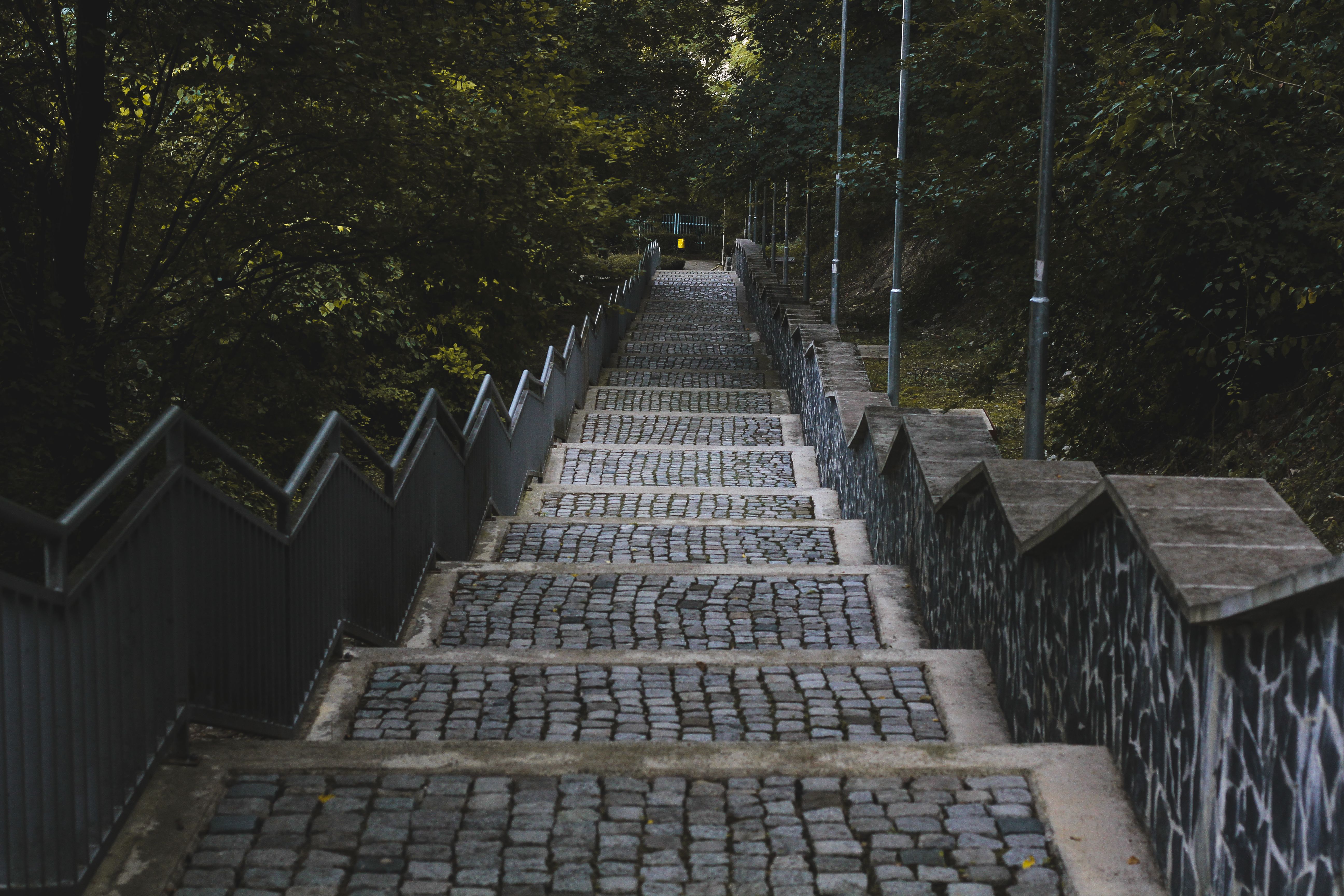 Long Stairs with Cobblestone Steps in a Park · Free Stock Photo