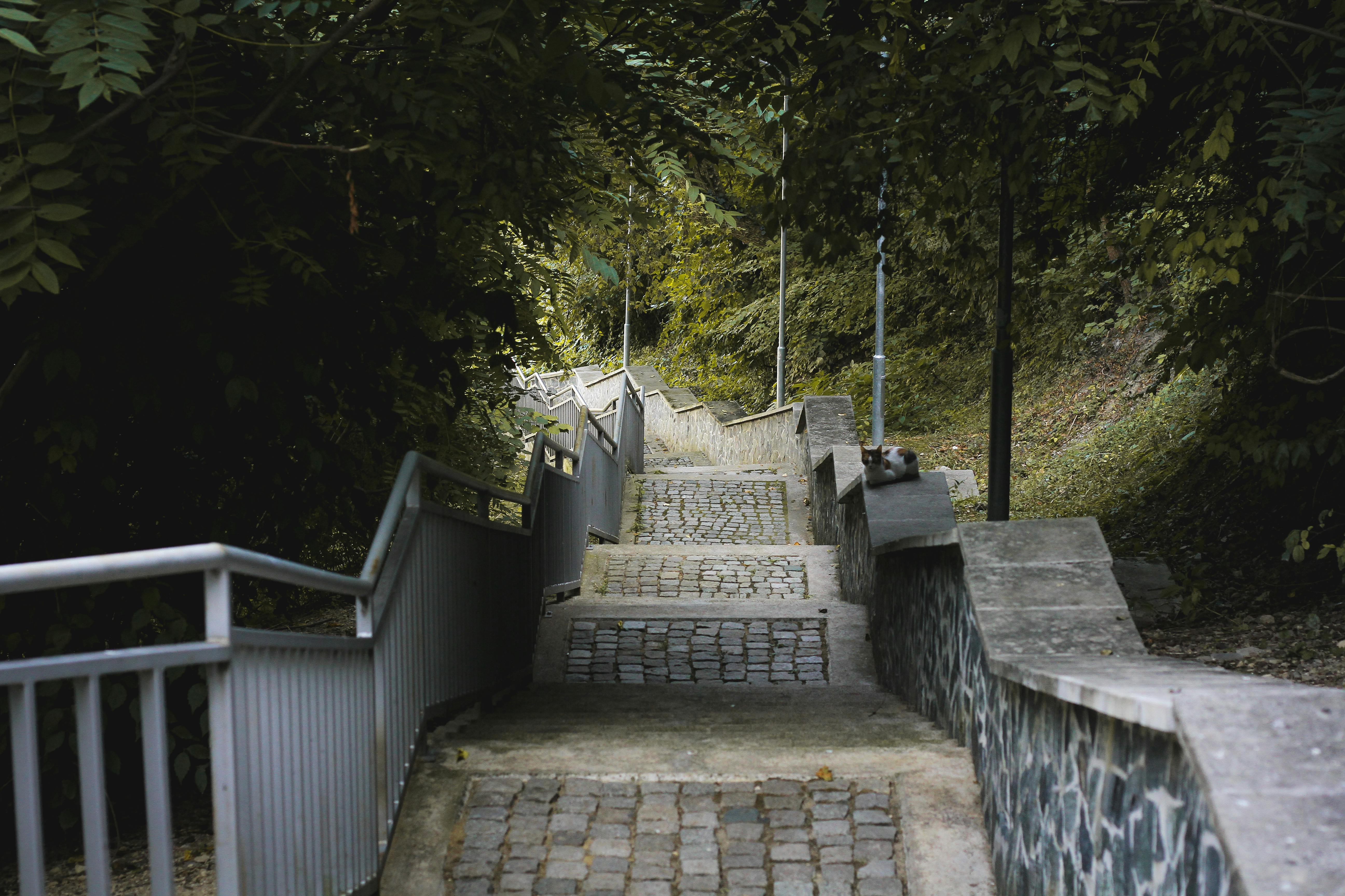 Old Stone Steps between Houses in Athens, Greece · Free Stock Photo