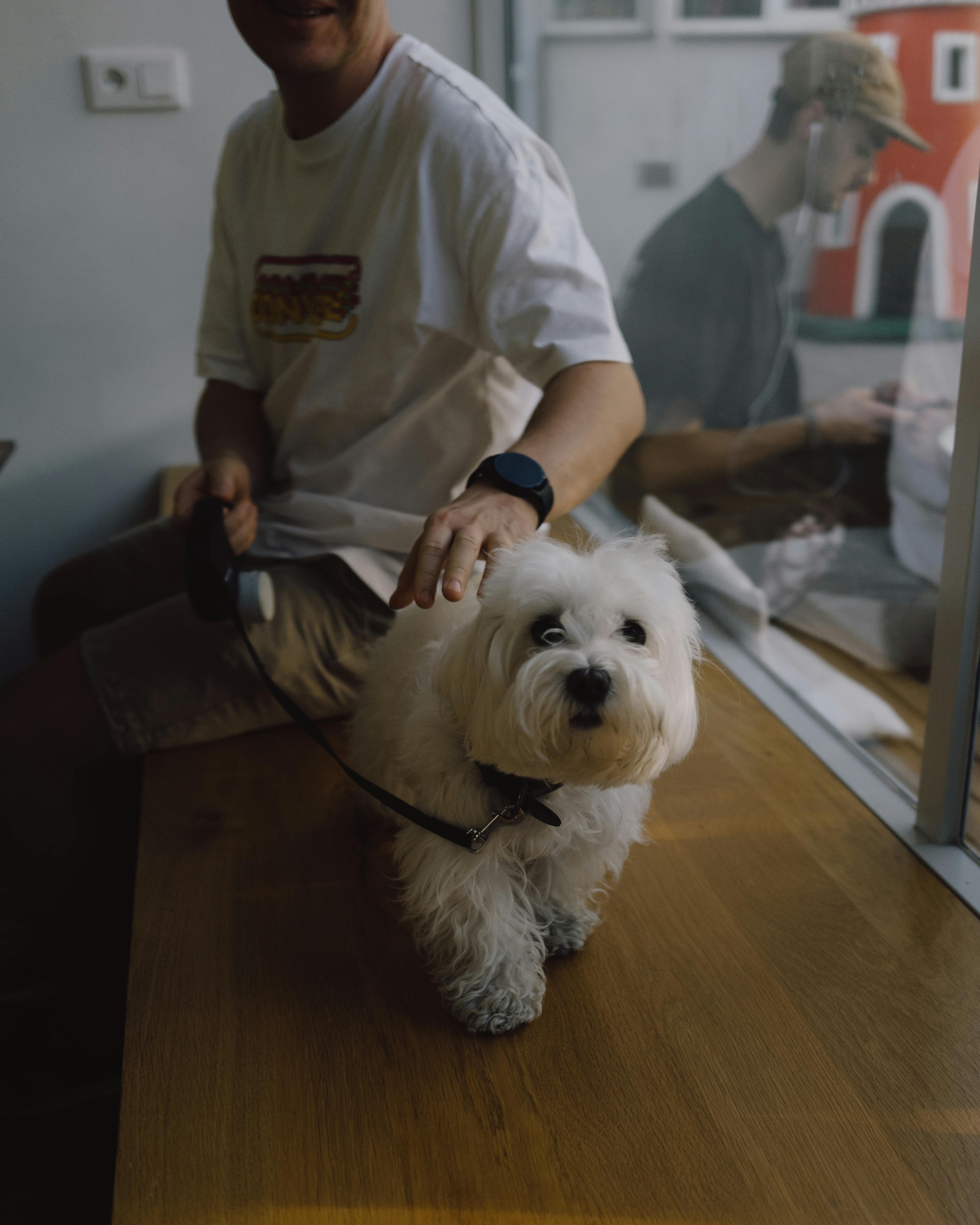 Man with Fluffy Dog on Leash · Free Stock Photo