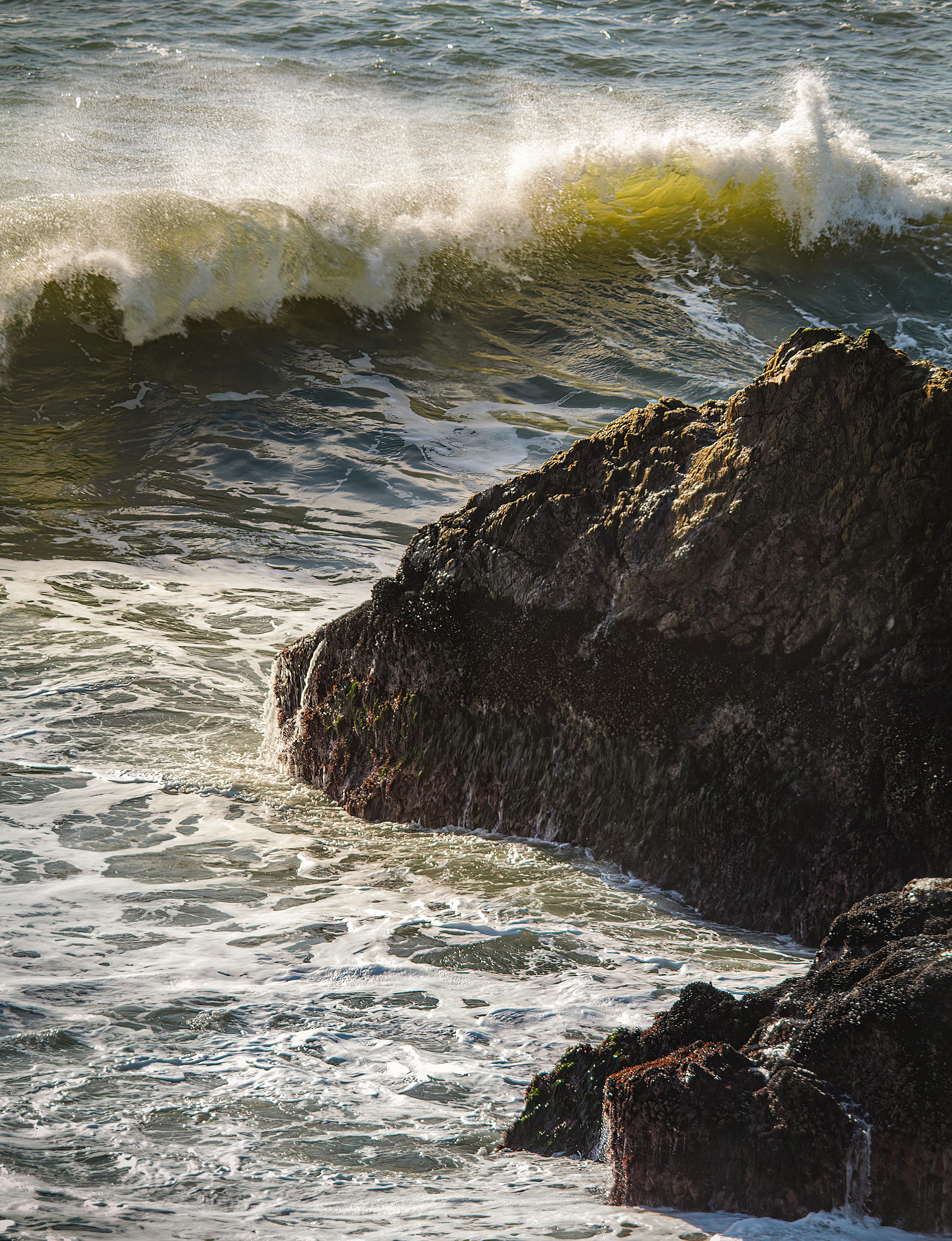Ocean Waves Crashing · Free Stock Photo